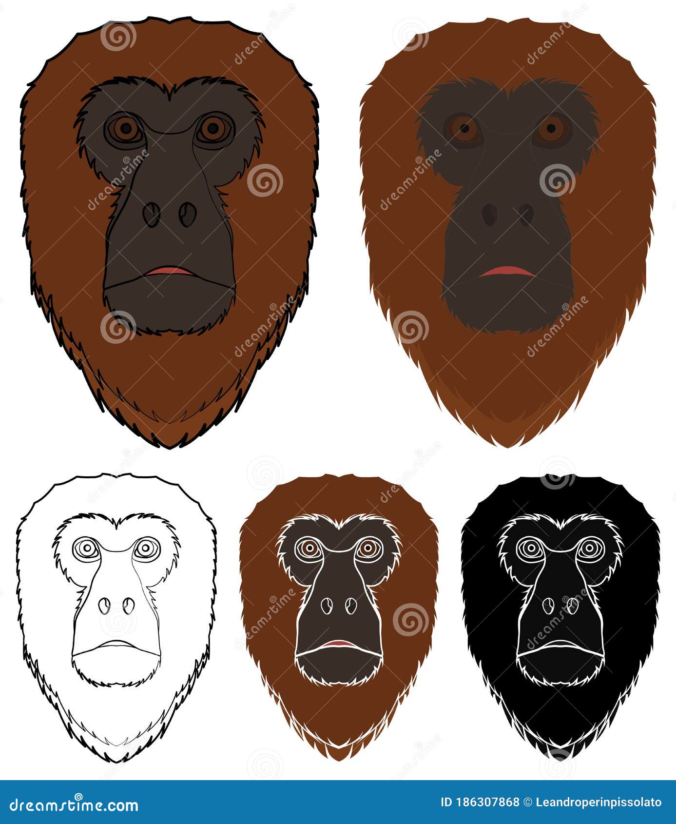 Bugio monkey in front view stock vector. Illustration of bugio - 186307868