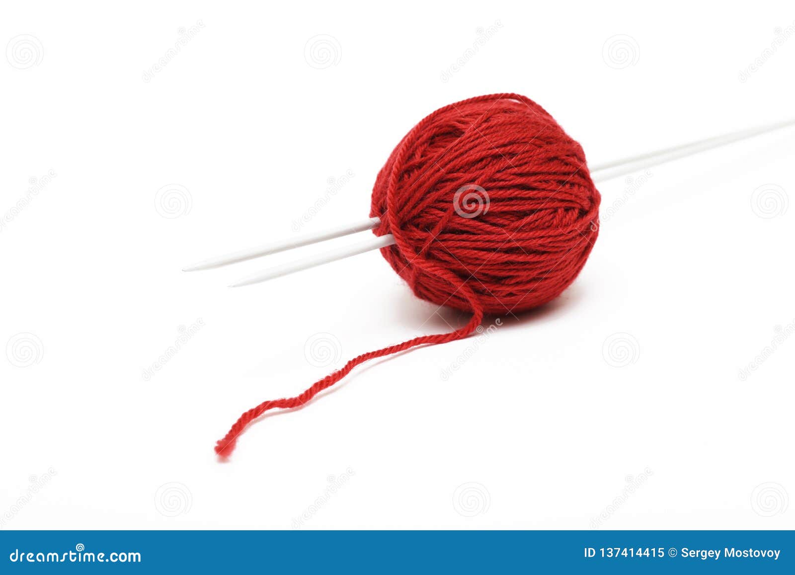 Bugna con gli aghi immagine stock. Immagine di rosso - 137414415