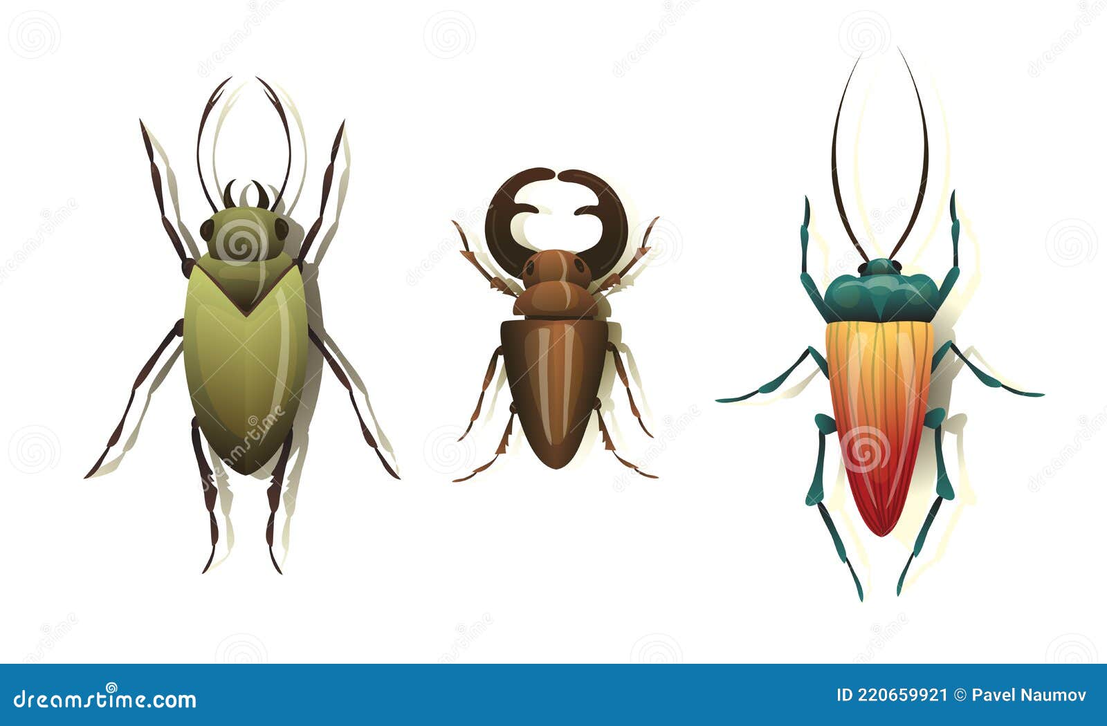 Bugs and Beetle As Coleoptera Insects with Elytra Vector Set Stock ...