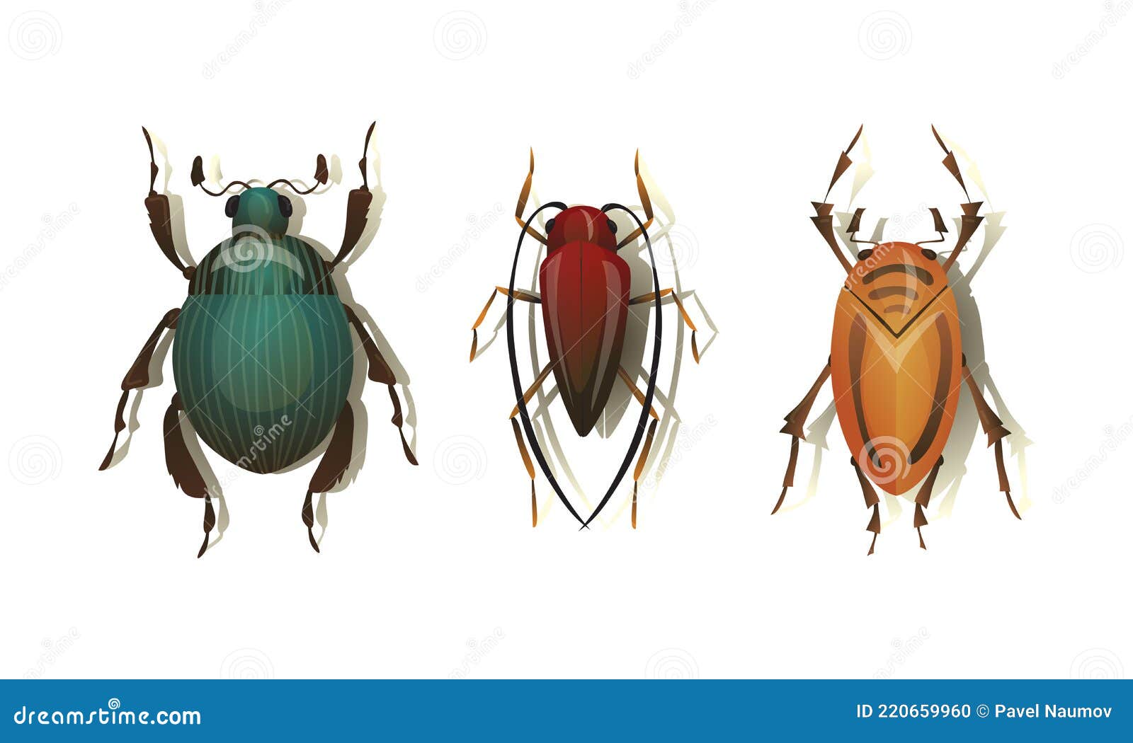 Bugs and Beetle As Coleoptera Insects with Elytra Vector Set Stock ...