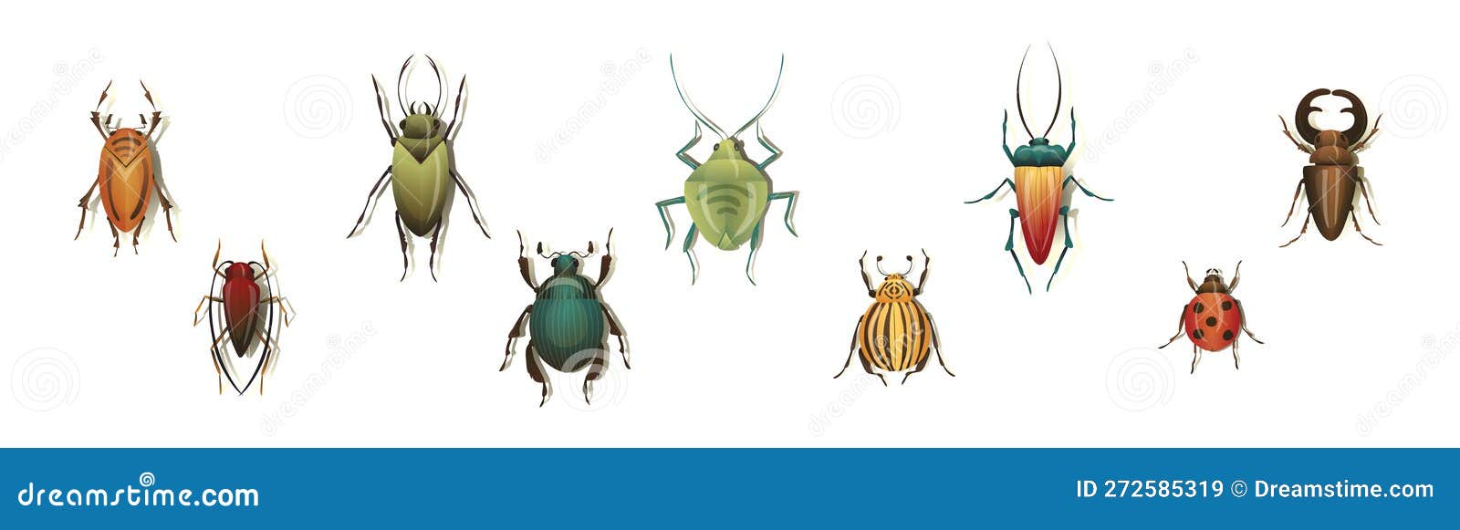 Elytra Cartoons, Illustrations & Vector Stock Images - 183 Pictures to ...