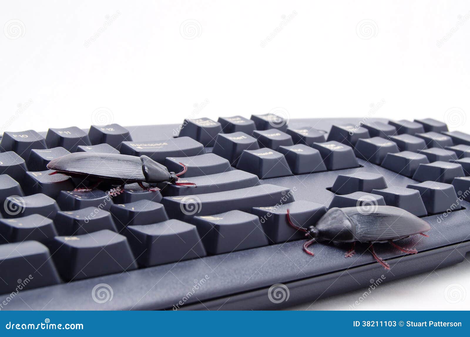 Bugs on a Computer Keyboard Stock Image - Image of typing, desktop ...