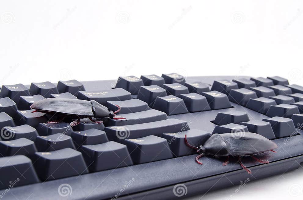 Bugs on a Computer Keyboard Stock Image - Image of typing, desktop ...