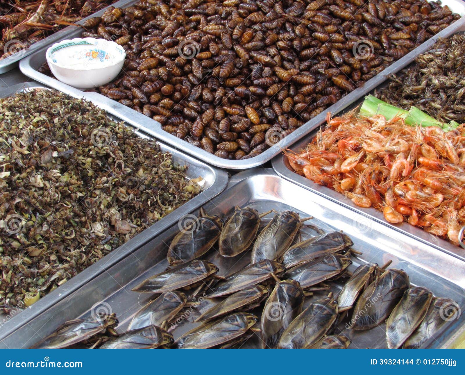 Bugs for Eating Pattaya Thailand Stock Photo - Image of insects ...