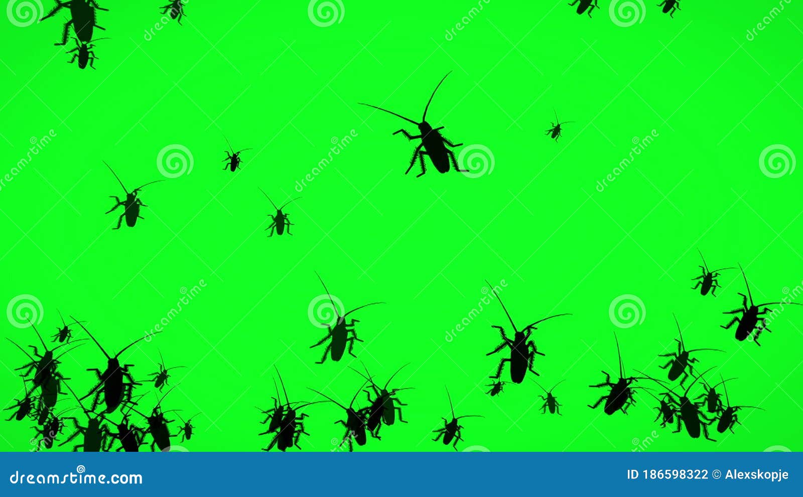 Bugs on Green Screen Animated Silhouette Stock Footage - Video of ...