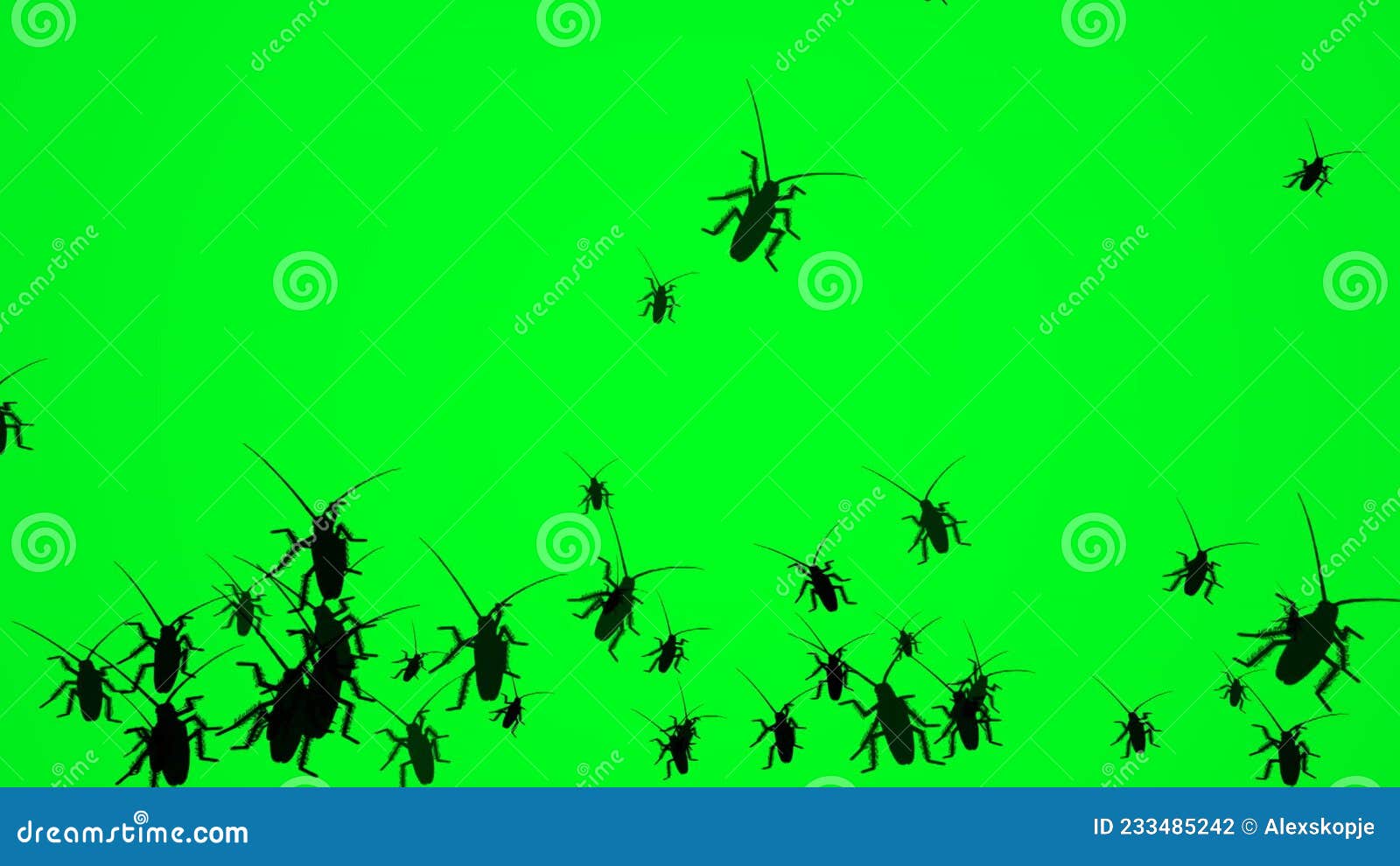Bugs on Green Screen Animated Silhouette Stock Footage - Video of ...