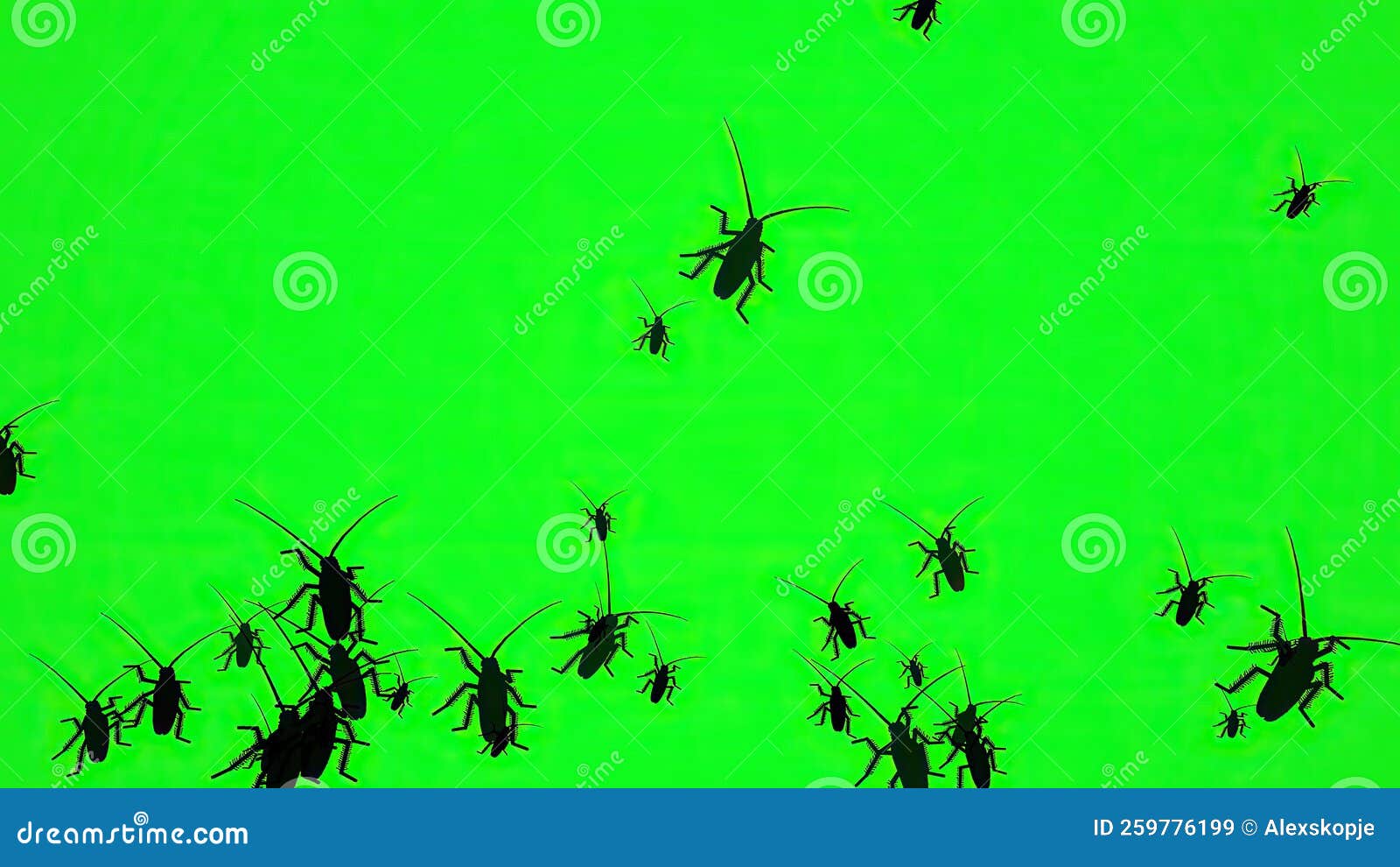 Bugs on Green Screen Silhouette Stock Illustration - Illustration of ...