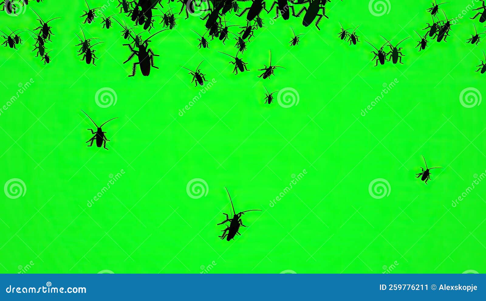 Bugs on Green Screen Silhouette Stock Illustration - Illustration of ...