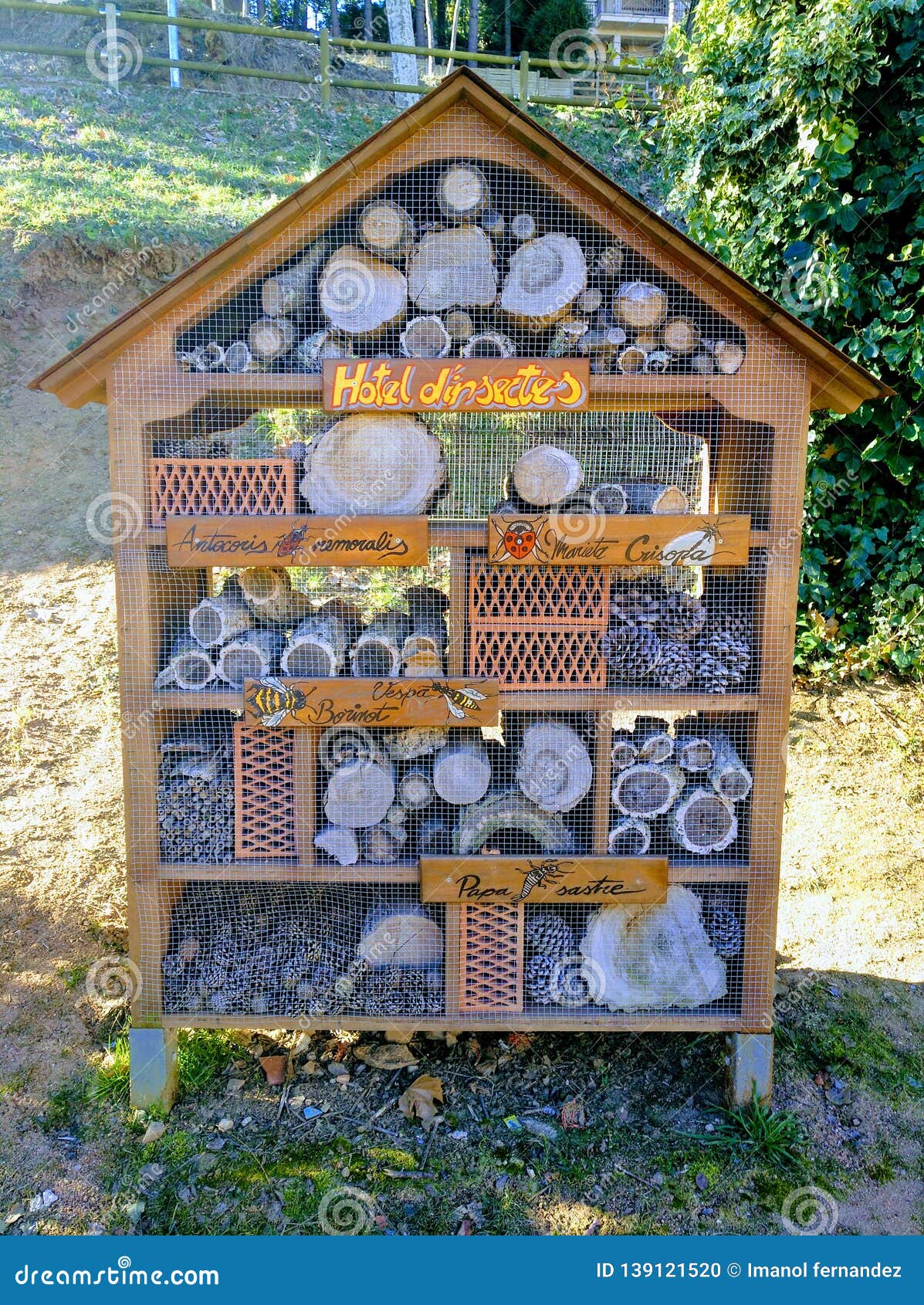 Bugs hostel stock photo. Image of hostel, house, little - 139121520