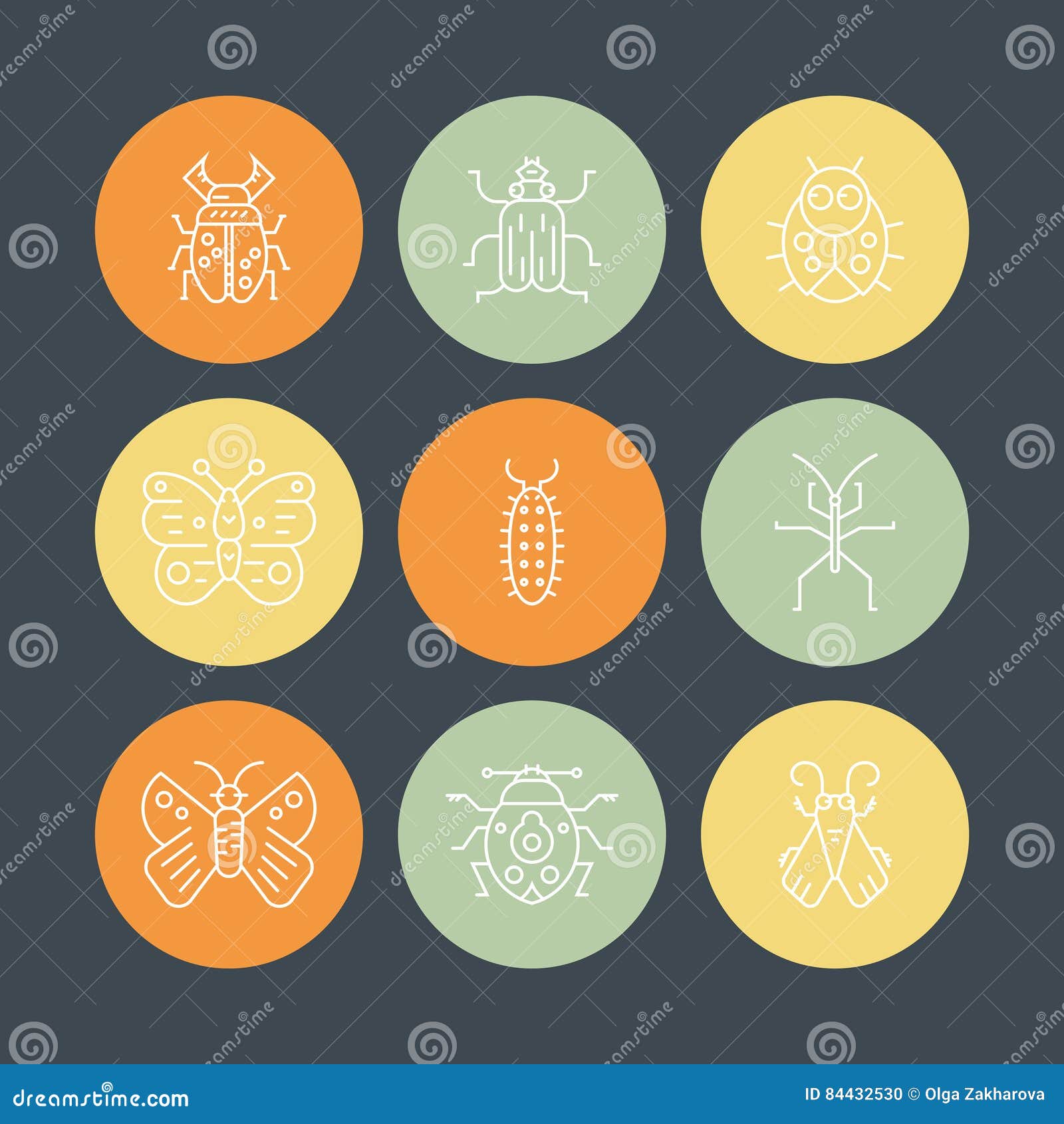 Bugs & Insects stock vector. Illustration of locust - 84432530