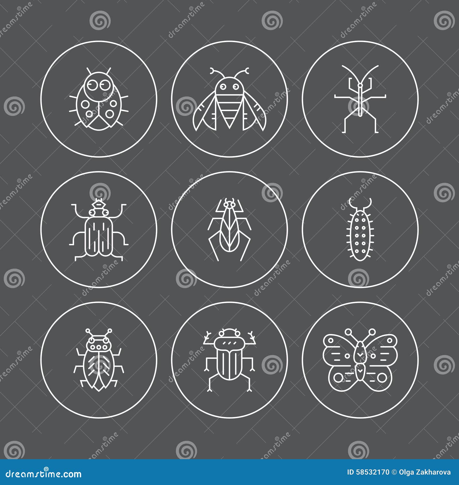 Insects Thin Line Icon Set, Bugs, Beetles, Termites Symbols Collection ...