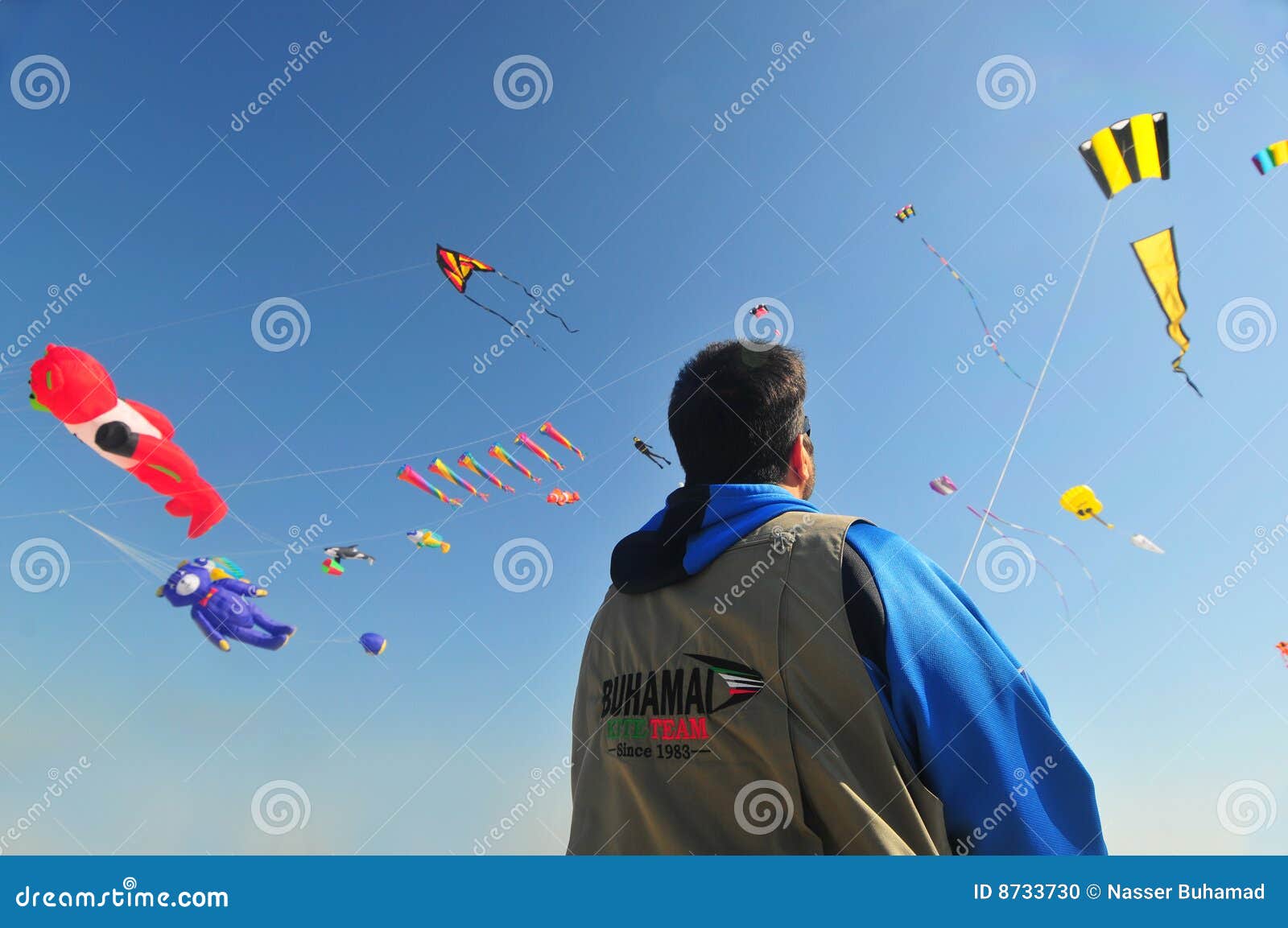Buhamad Kites Team stock photo. Image of design, colors - 8733730