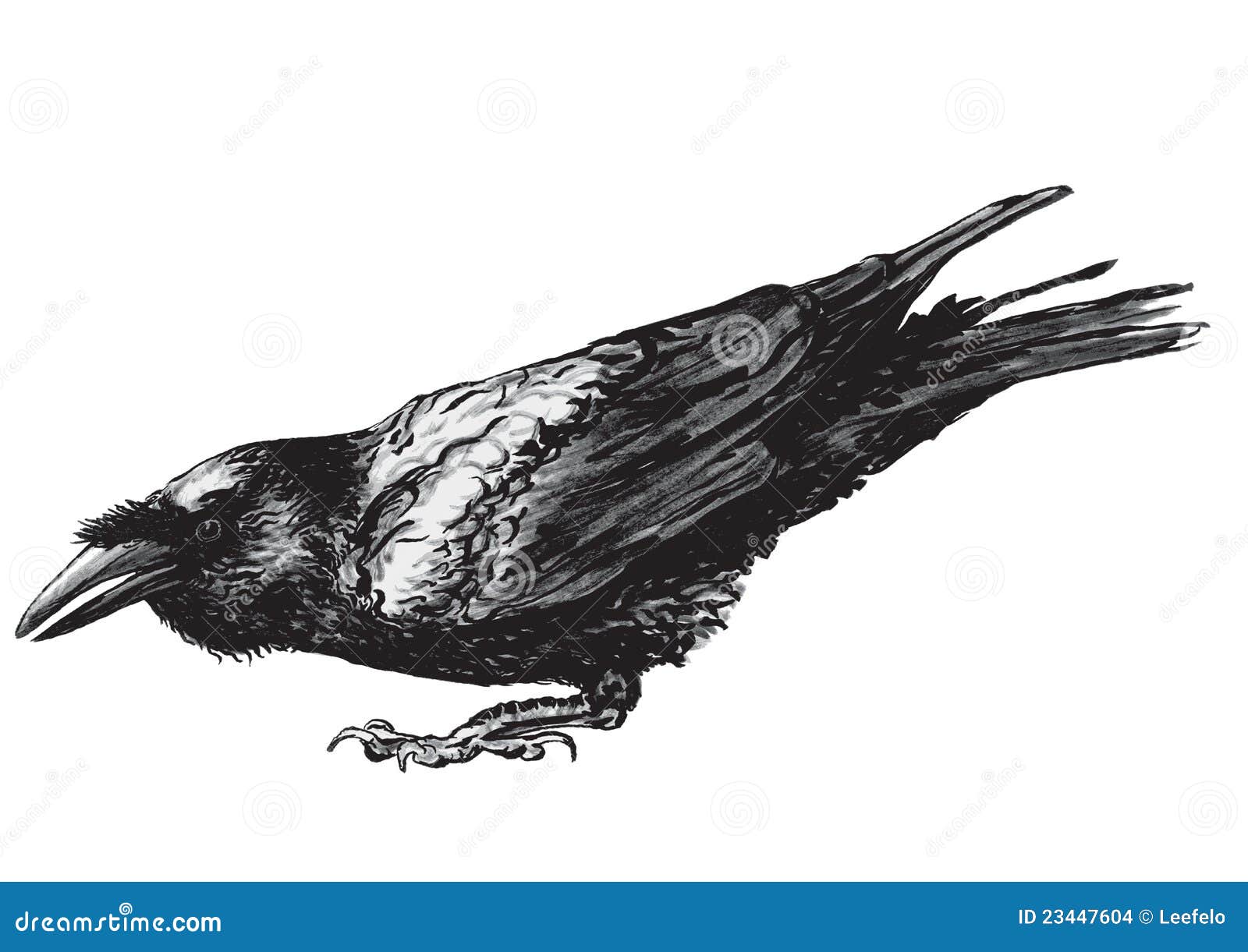 Buigende raaf vector illustratie. Illustration of zwart - 23447604