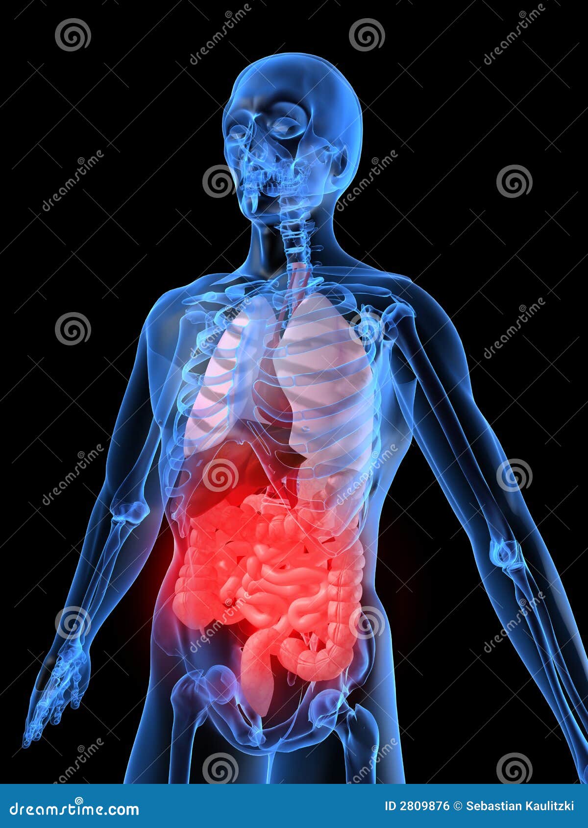 Buikpijn stock illustratie. Illustration of intern, orgaan - 2809876