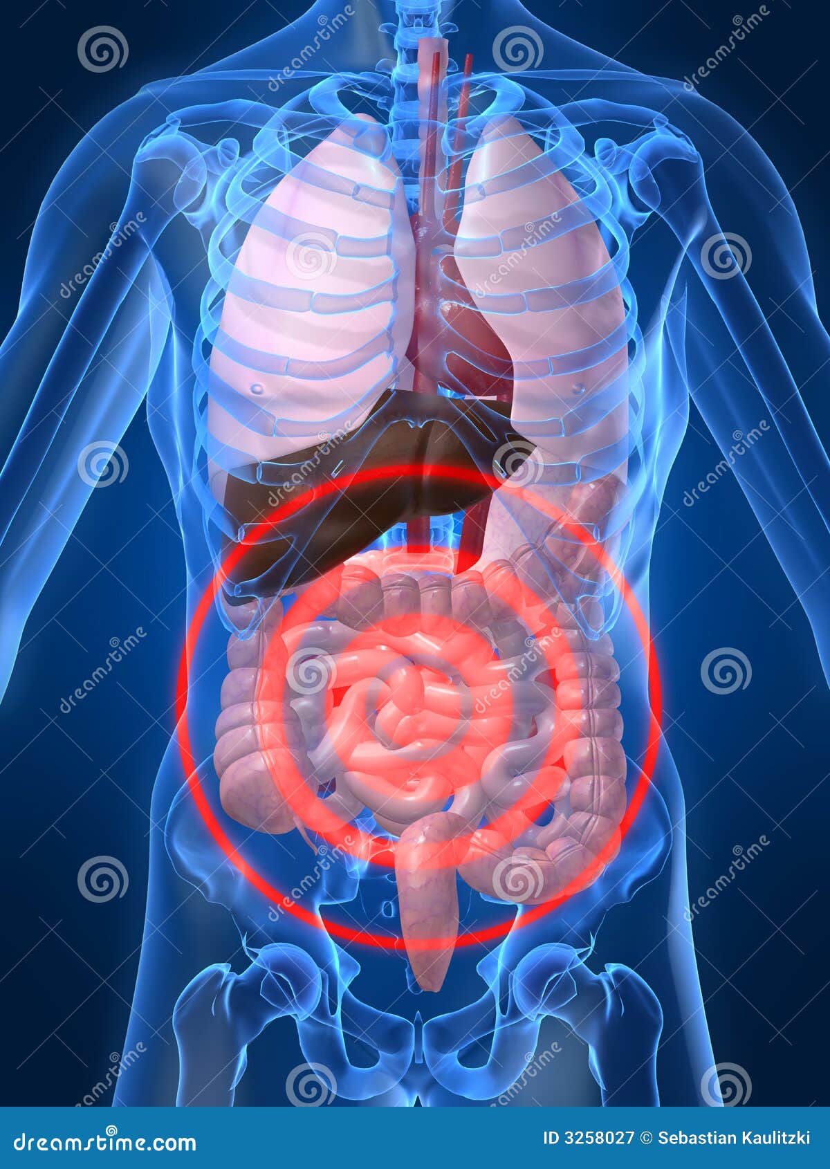 Buikpijn stock illustratie. Illustration of hartslag, wijfjes - 3258027