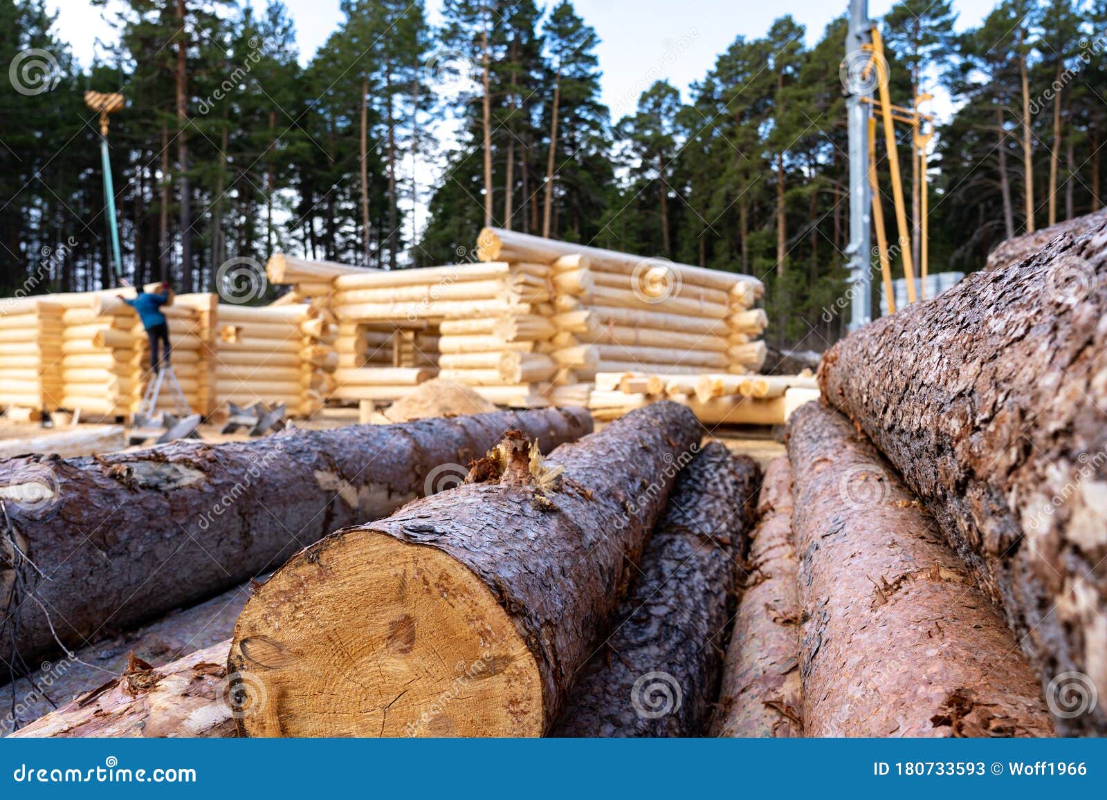 Build a House from Logs. Preparation of Logs for the Assembly of the ...