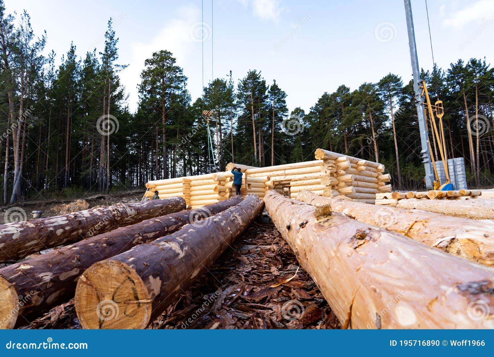 Build a House from Logs. Preparation of Logs for the Assembly of the ...