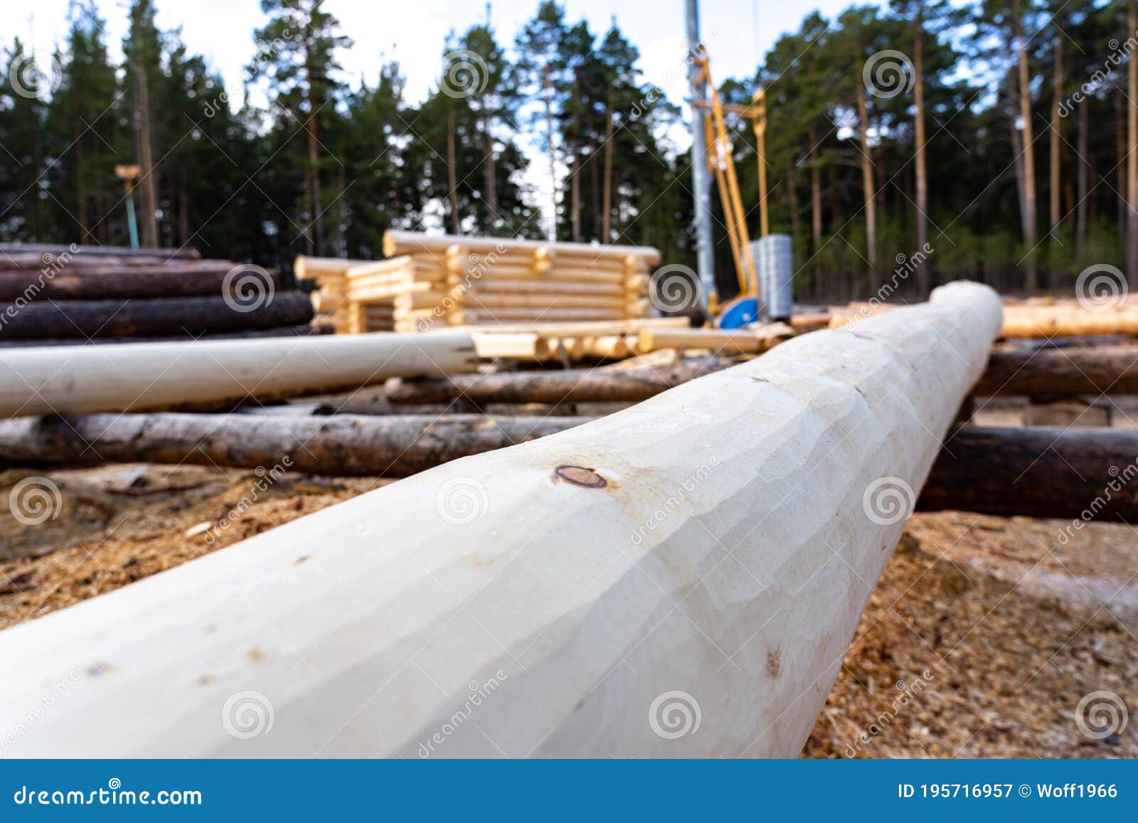 Build a House from Logs. Preparation of Logs for the Assembly of the ...