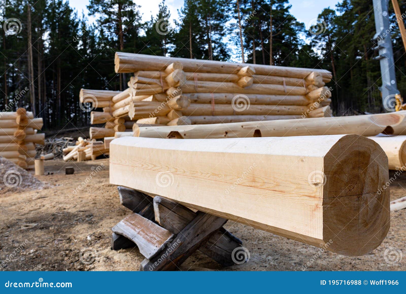 Build a House from Logs. Preparation of Logs for the Assembly of the ...