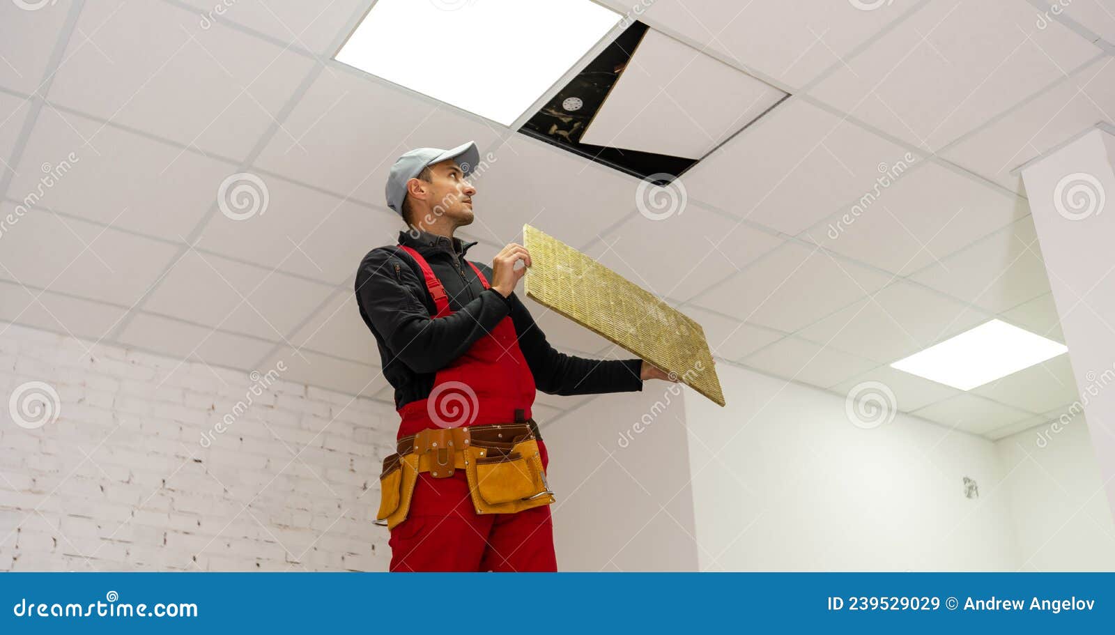 Builder Replacing Ceiling Panel, Working, Ceiling Armstrong Stock Image ...