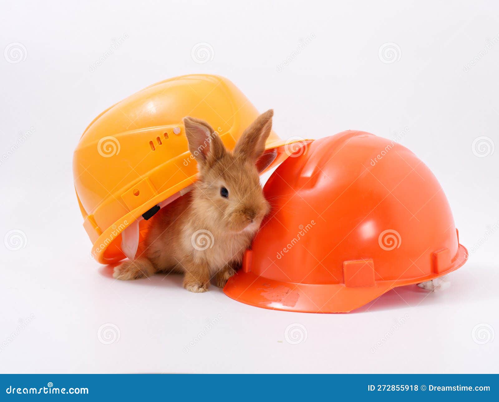 Builder S Day, Symbol of the Year Easter Bunny in a Construction Helmet ...