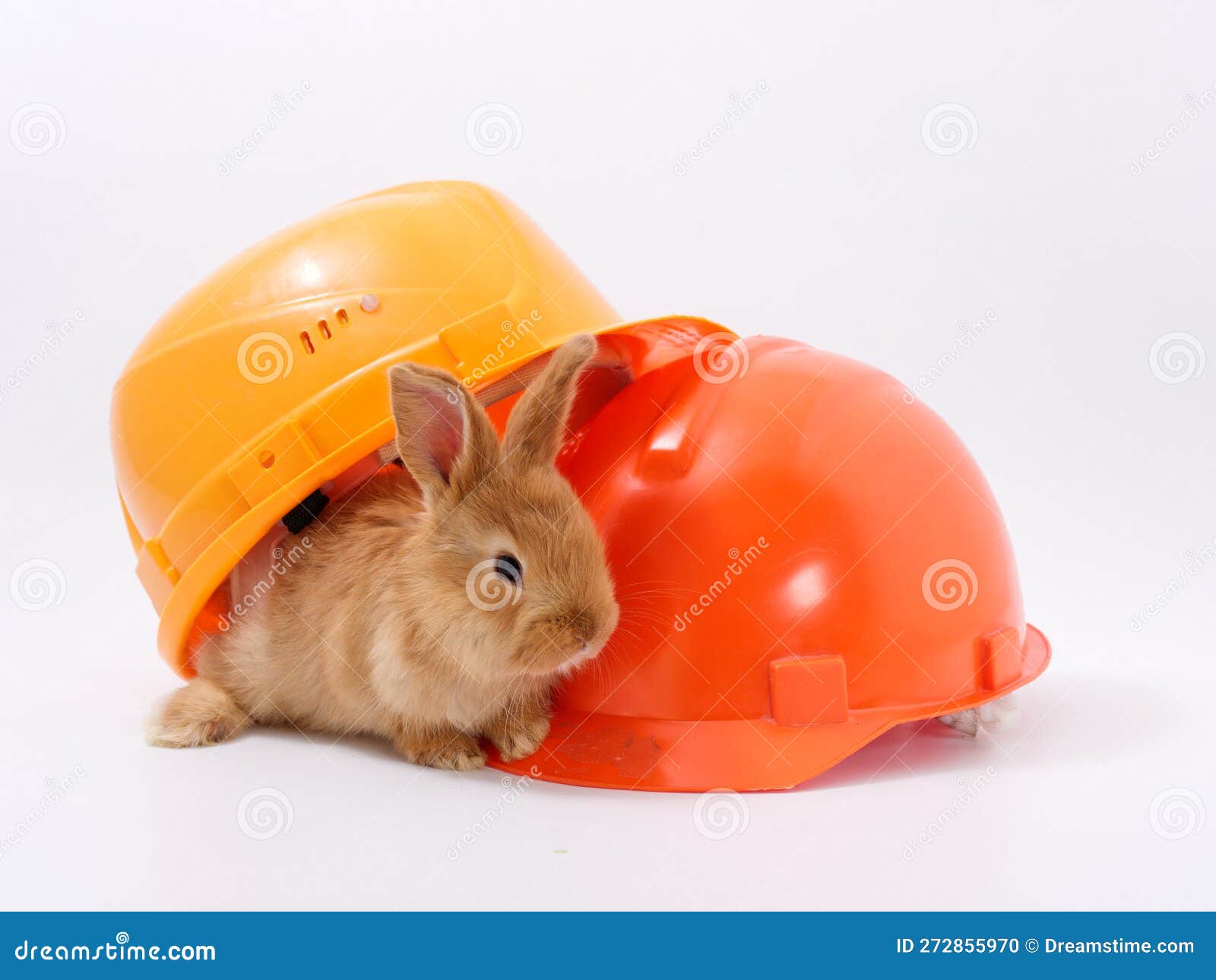 Builder S Day, Symbol of the Year Easter Bunny in a Construction Helmet ...