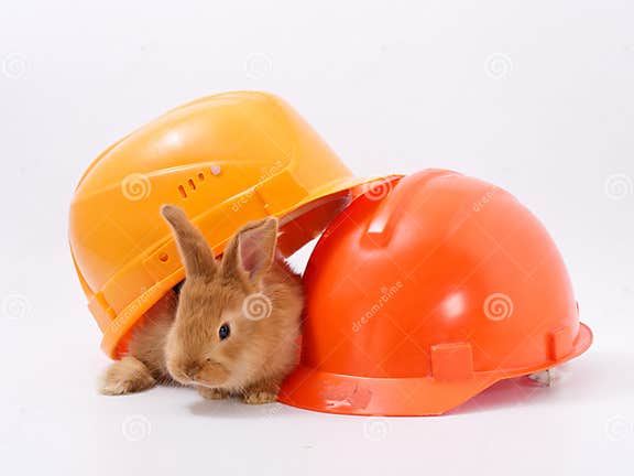 Builder S Day, Symbol of the Year Easter Bunny in a Construction Helmet ...