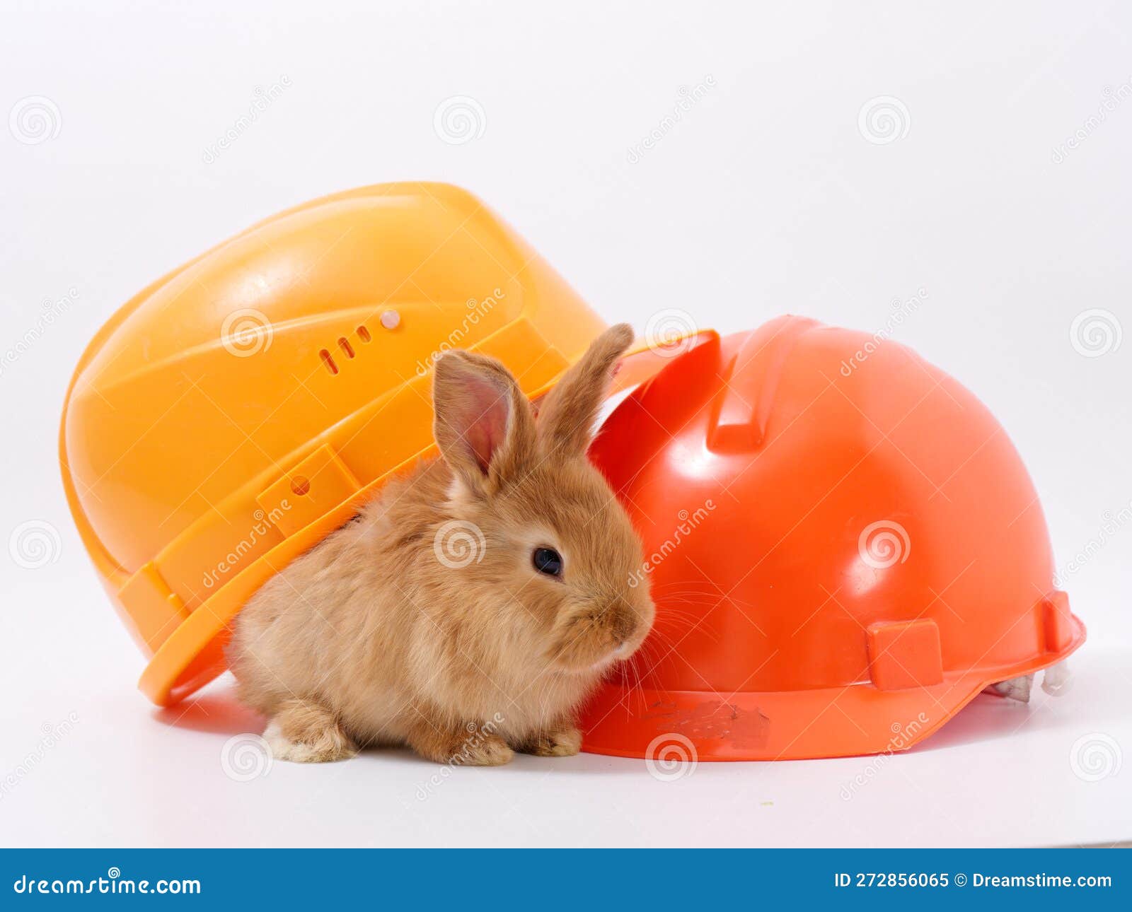 Builder S Day, Symbol of the Year Easter Bunny in a Construction Helmet ...