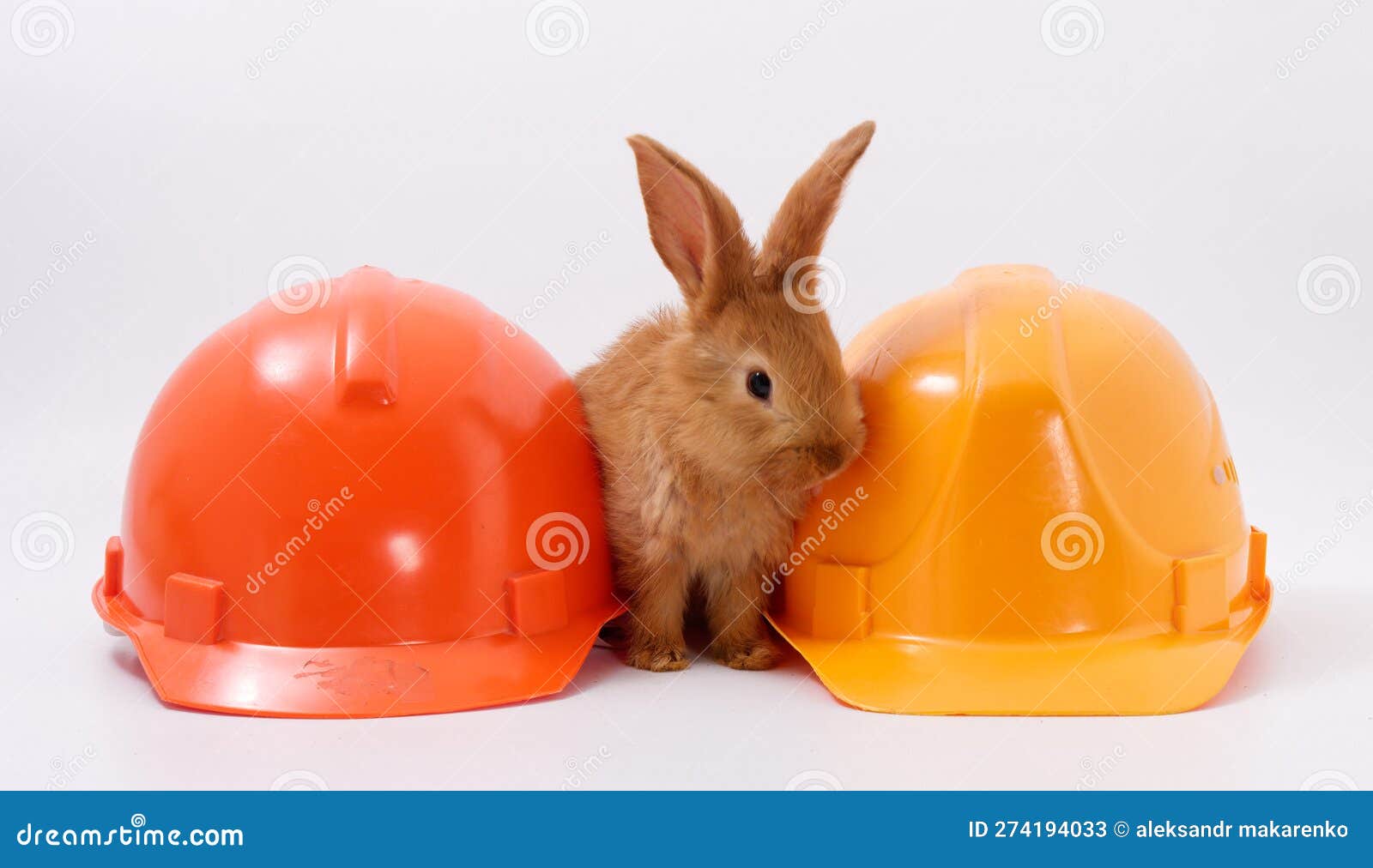 Builder S Day, Symbol of the Year Easter Bunny in a Construction Helmet ...