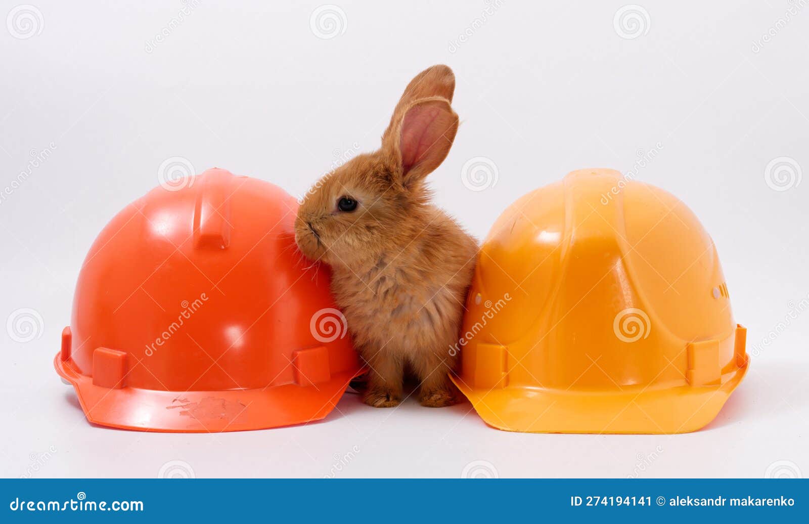 Builder S Day, Symbol of the Year Easter Bunny in a Construction Helmet ...