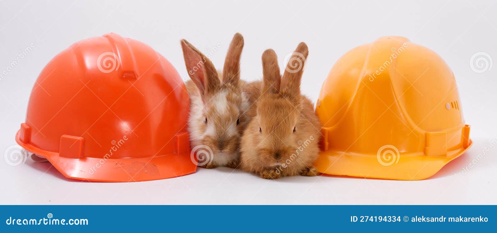 Builder S Day, Symbol of the Year Easter Bunny in a Construction Helmet ...