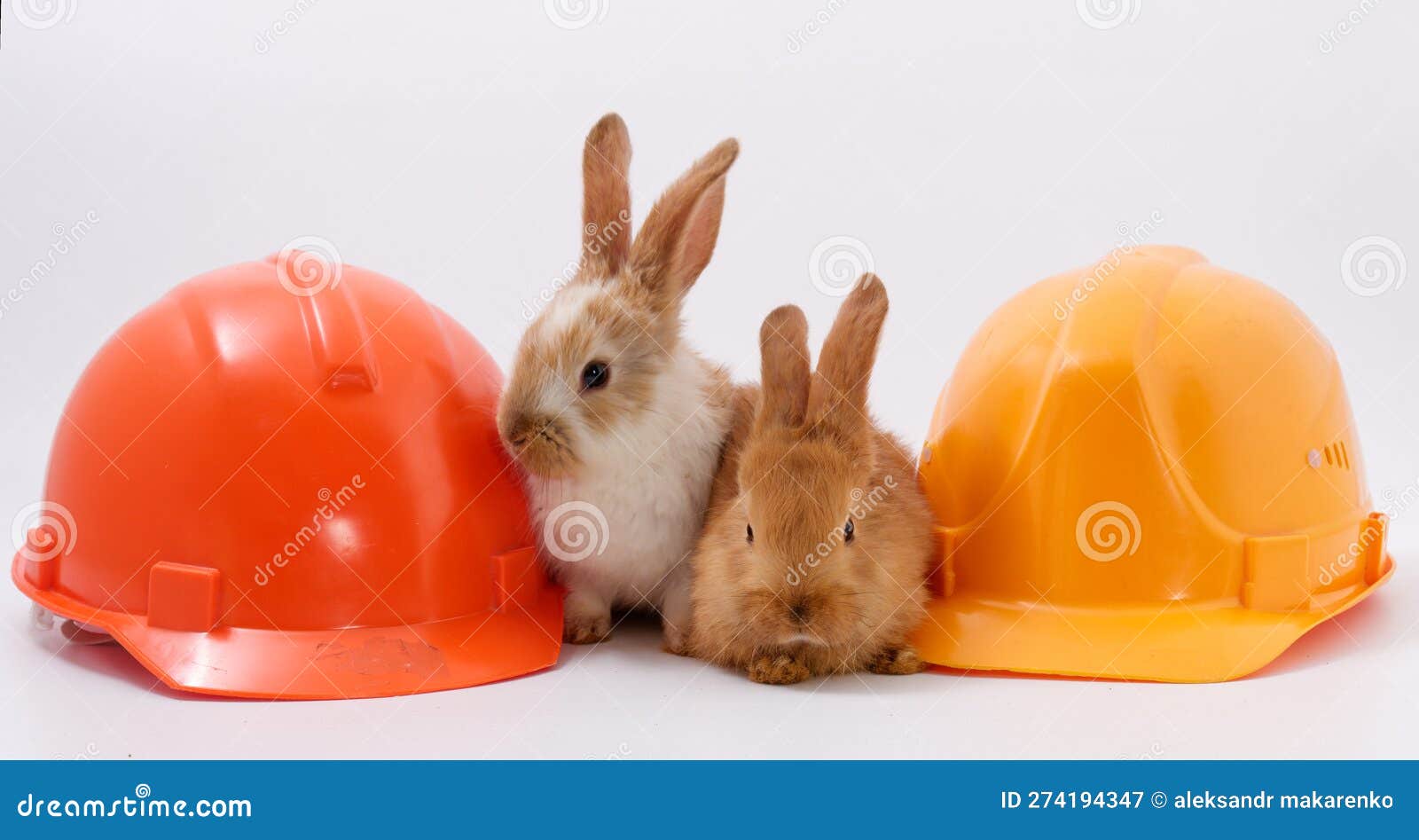 Builder S Day, Symbol of the Year Easter Bunny in a Construction Helmet ...