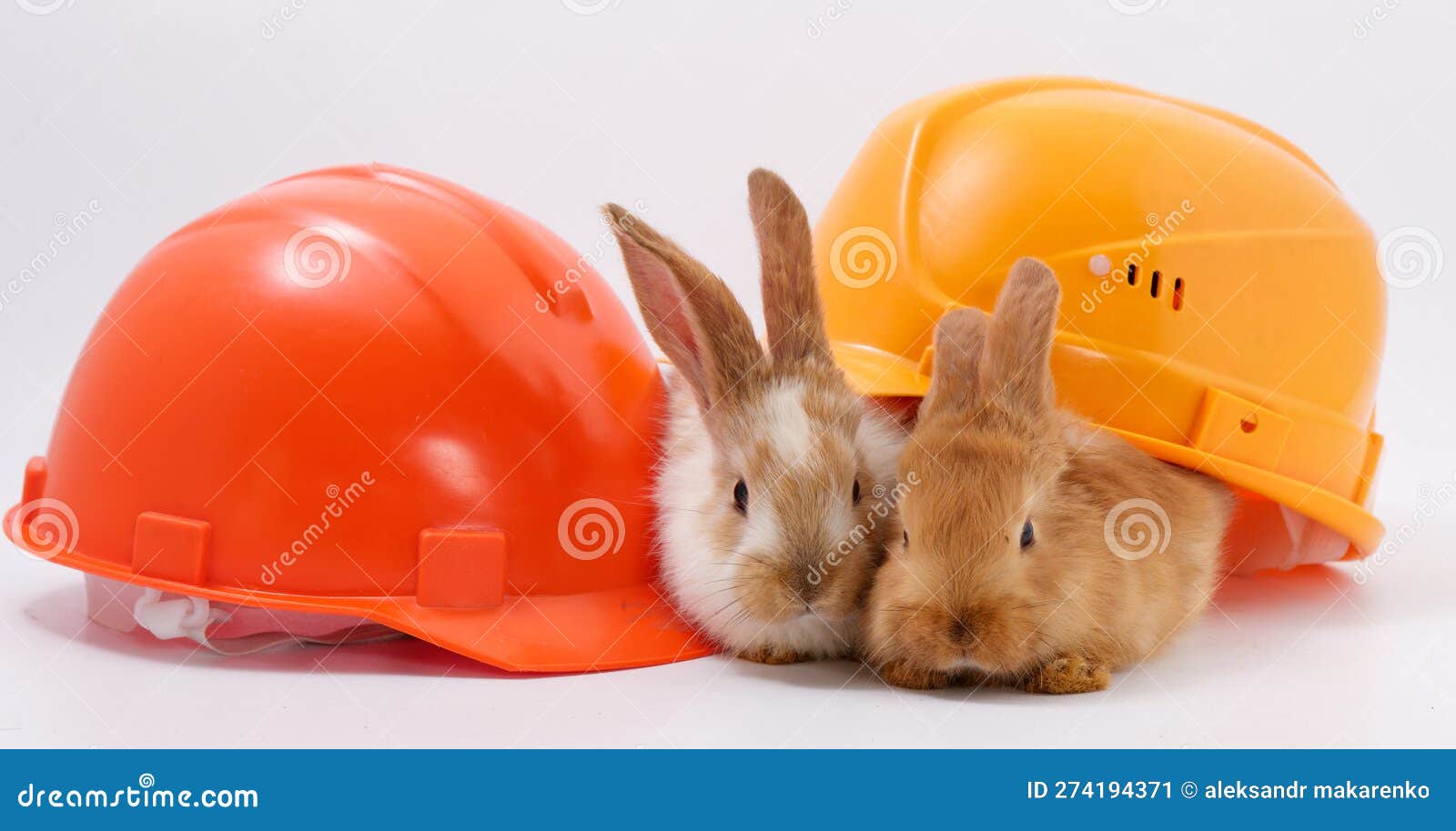 Builder S Day, Symbol of the Year Easter Bunny in a Construction Helmet ...