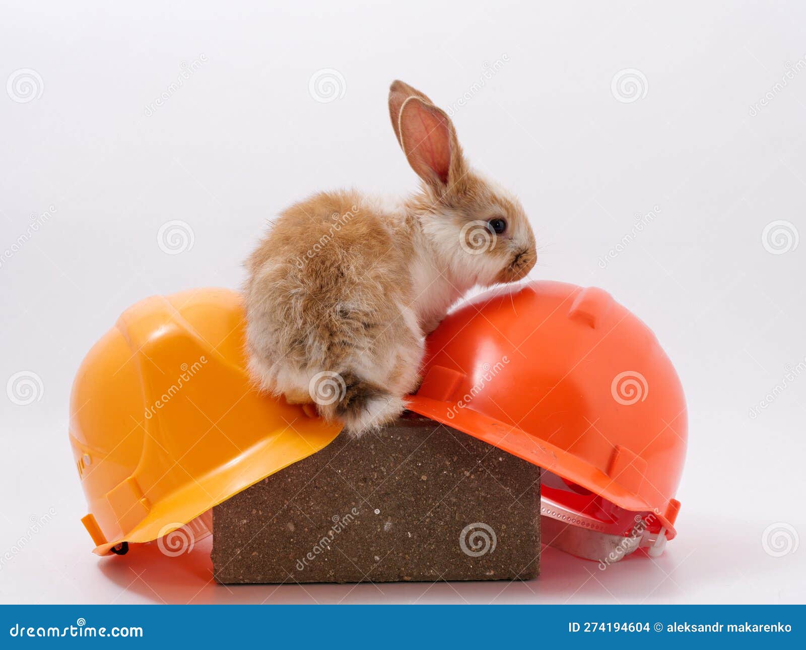Builder S Day, Symbol of the Year Easter Bunny in a Construction Helmet ...