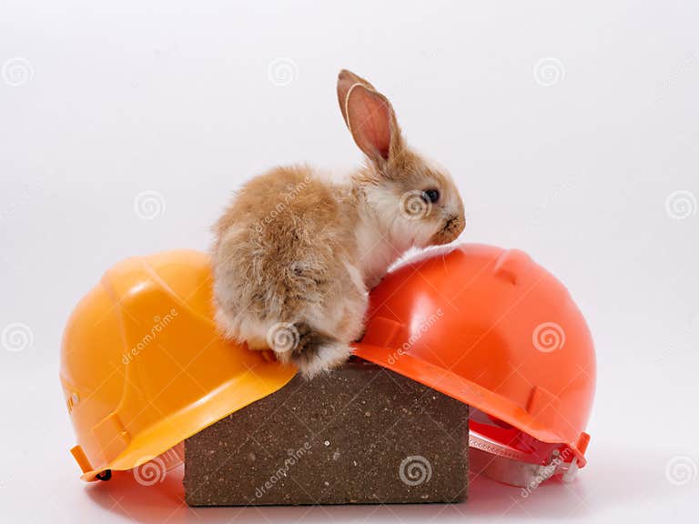 Builder S Day, Symbol of the Year Easter Bunny in a Construction Helmet ...