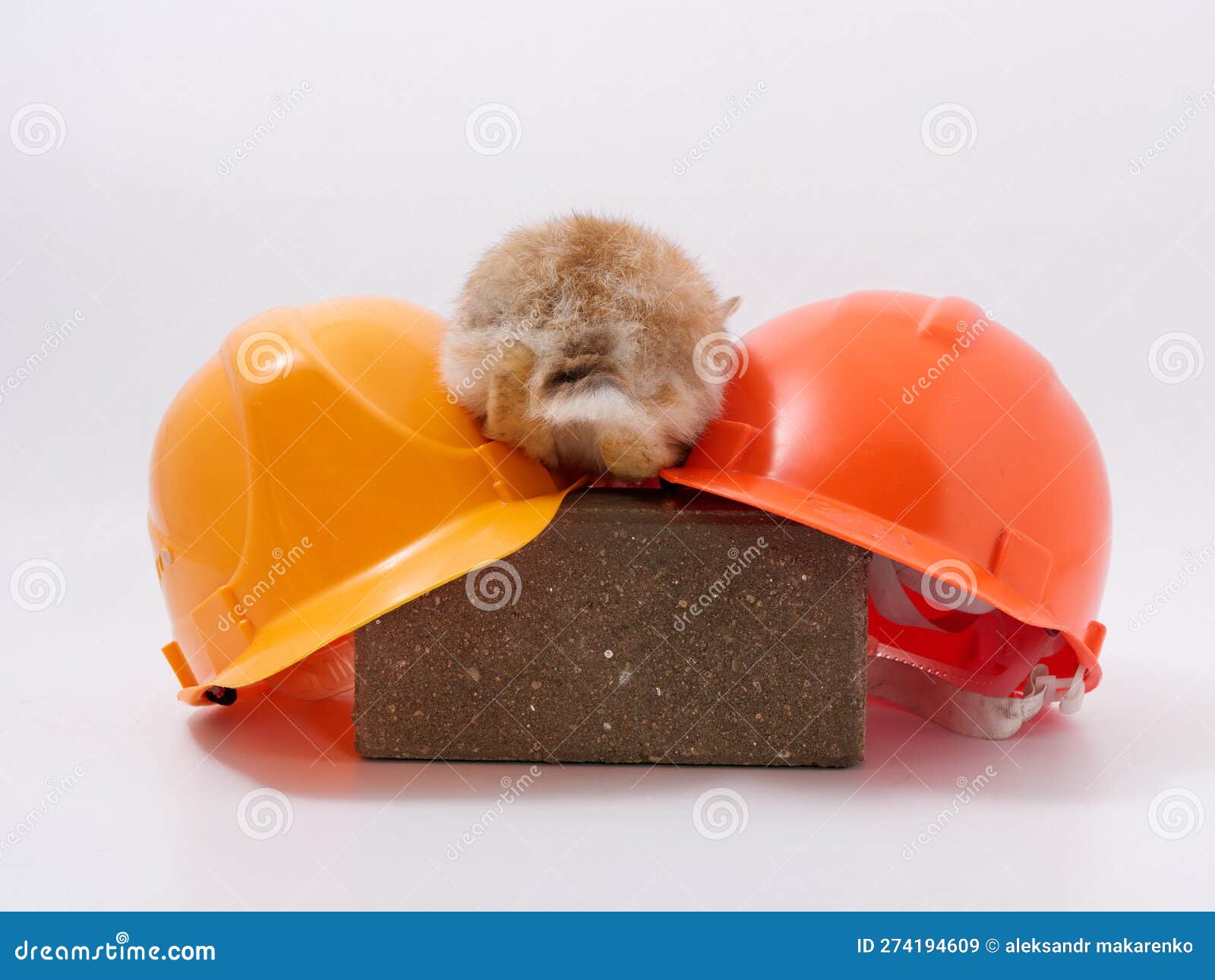 Builder S Day, Symbol of the Year Easter Bunny in a Construction Helmet ...