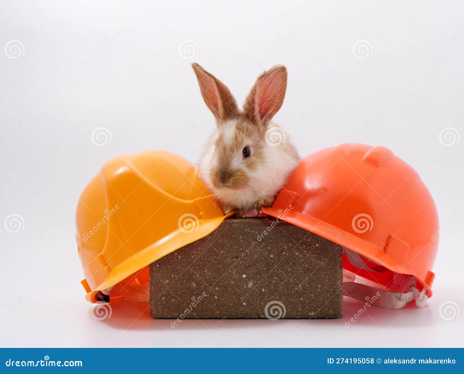 Builder S Day, Symbol of the Year Easter Bunny in a Construction Helmet ...