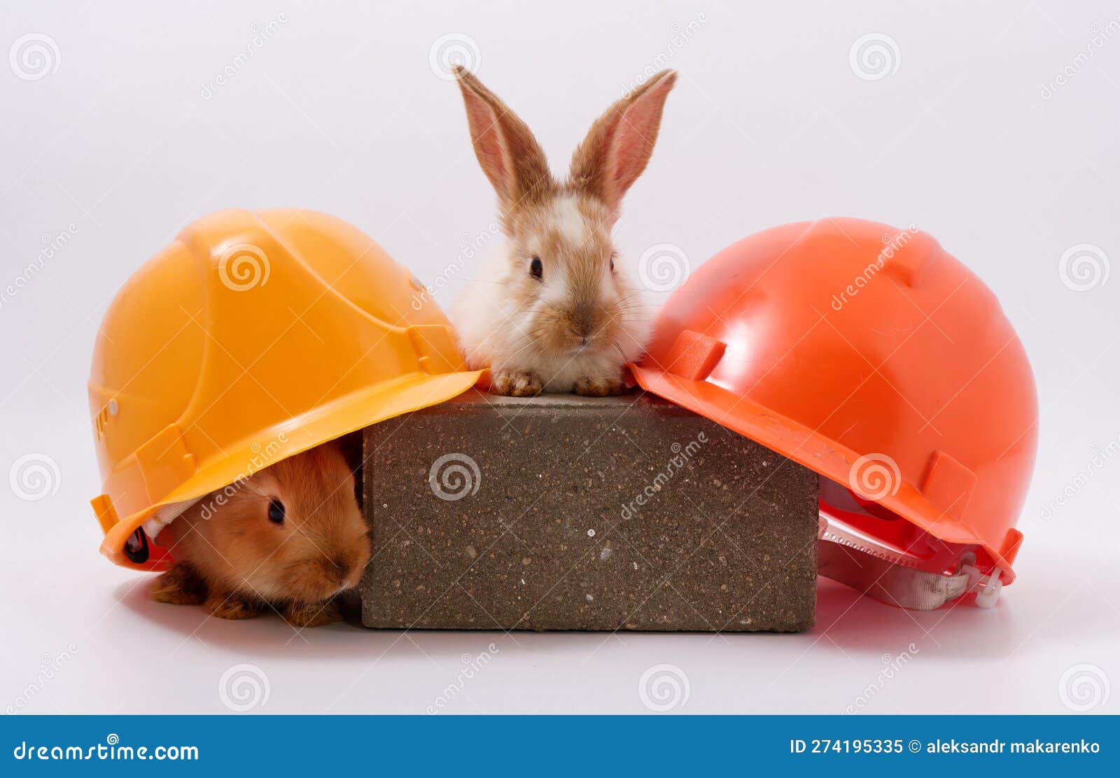 Builder S Day, Symbol of the Year Easter Bunny in a Construction Helmet ...