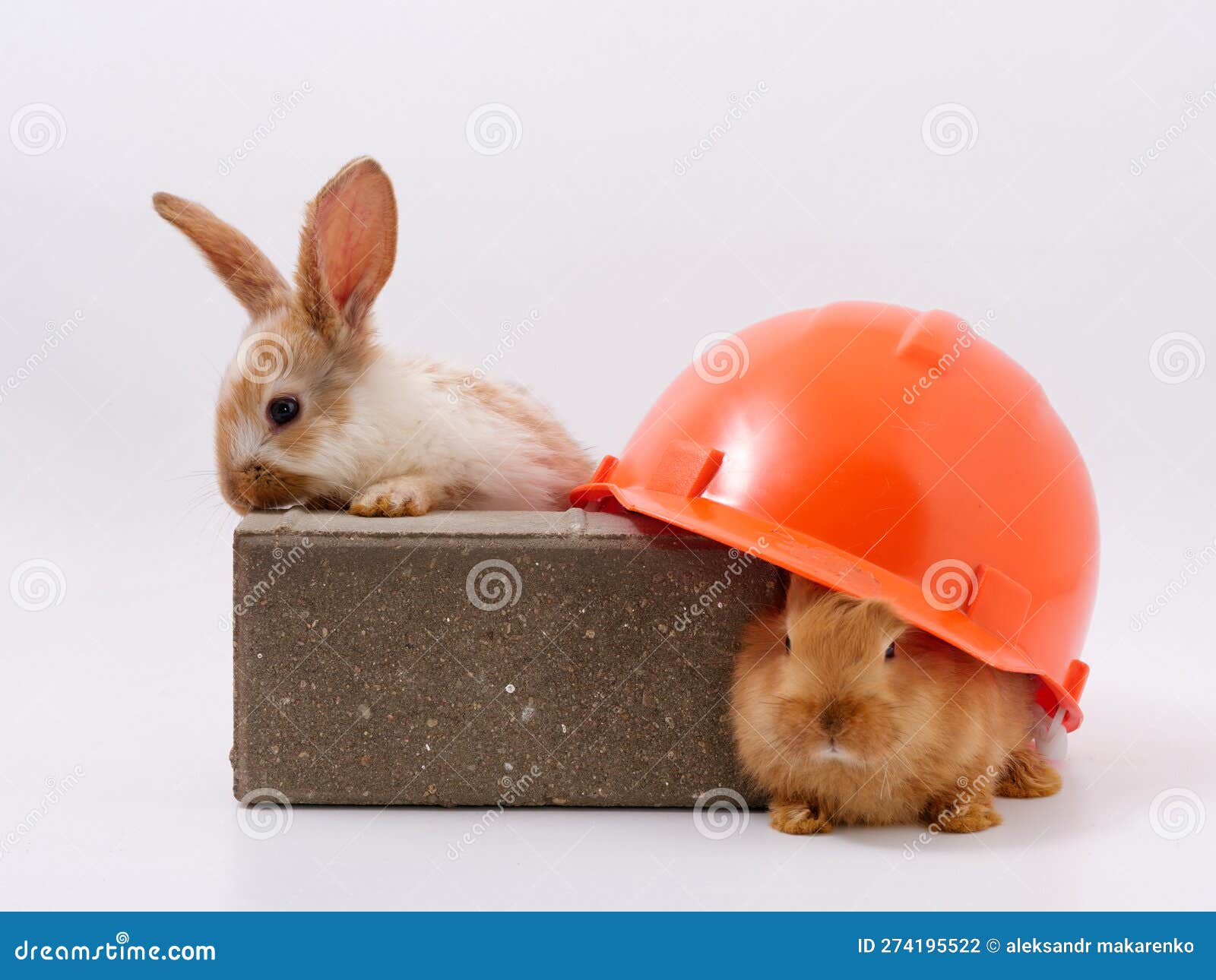 Builder S Day, Symbol of the Year Easter Bunny in a Construction Helmet ...