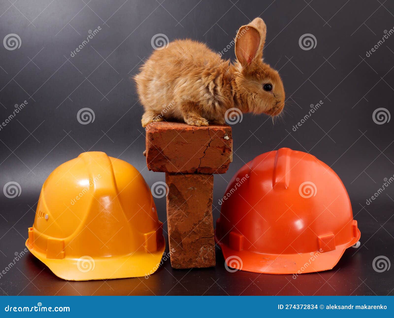 Builder S Day, Symbol of the Year Easter Bunny in a Construction Helmet ...