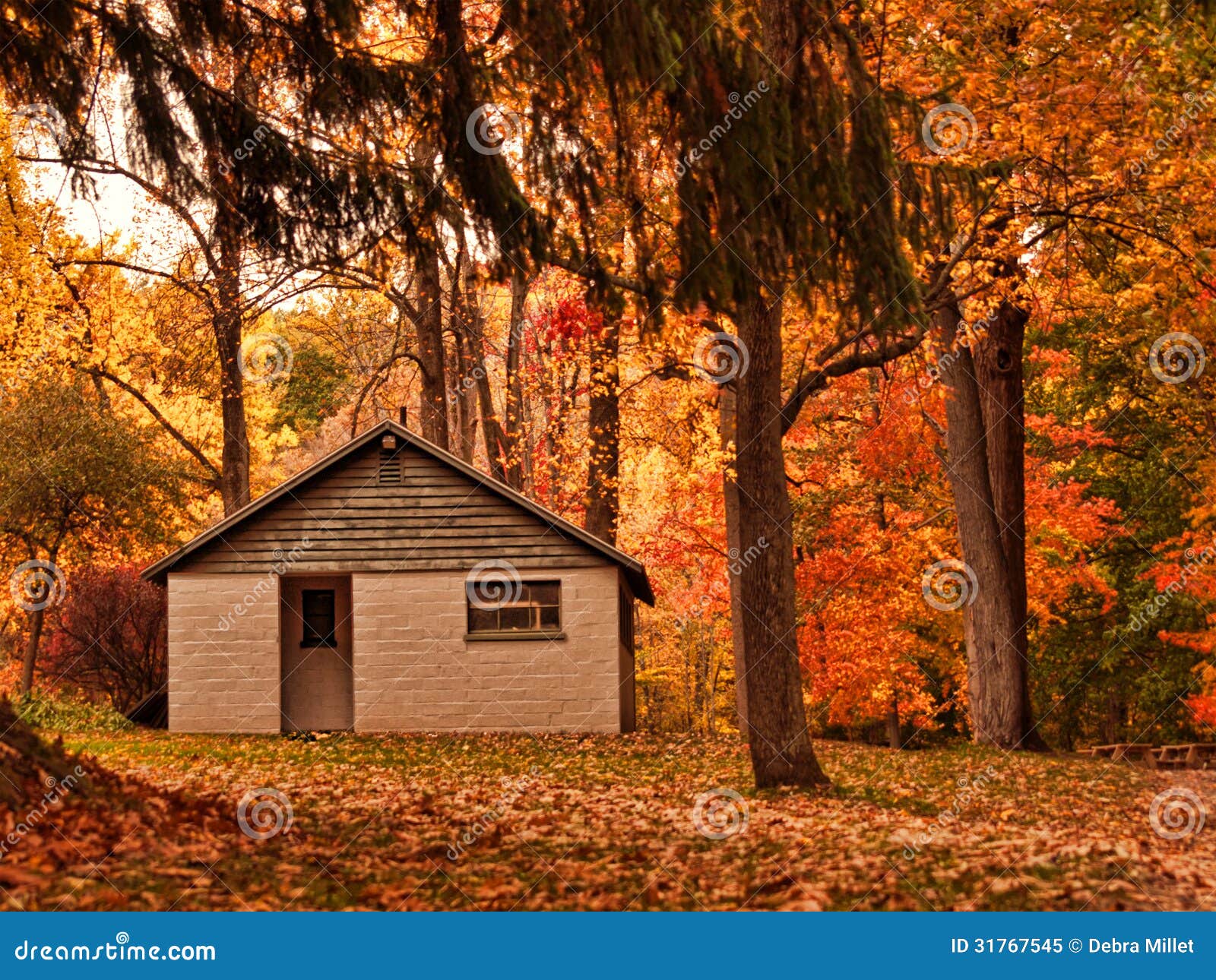Building in autumn woods stock image. Image of trees - 31767545