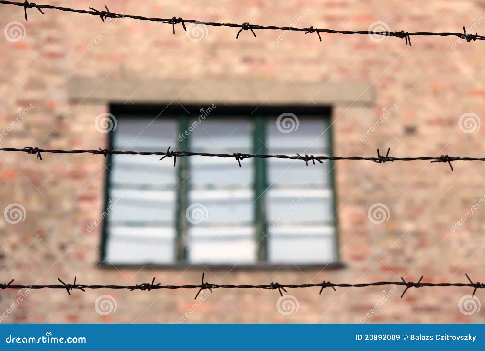 Building Behind Barbed Wire Fence Stock Image - Image of fence, outdoor ...
