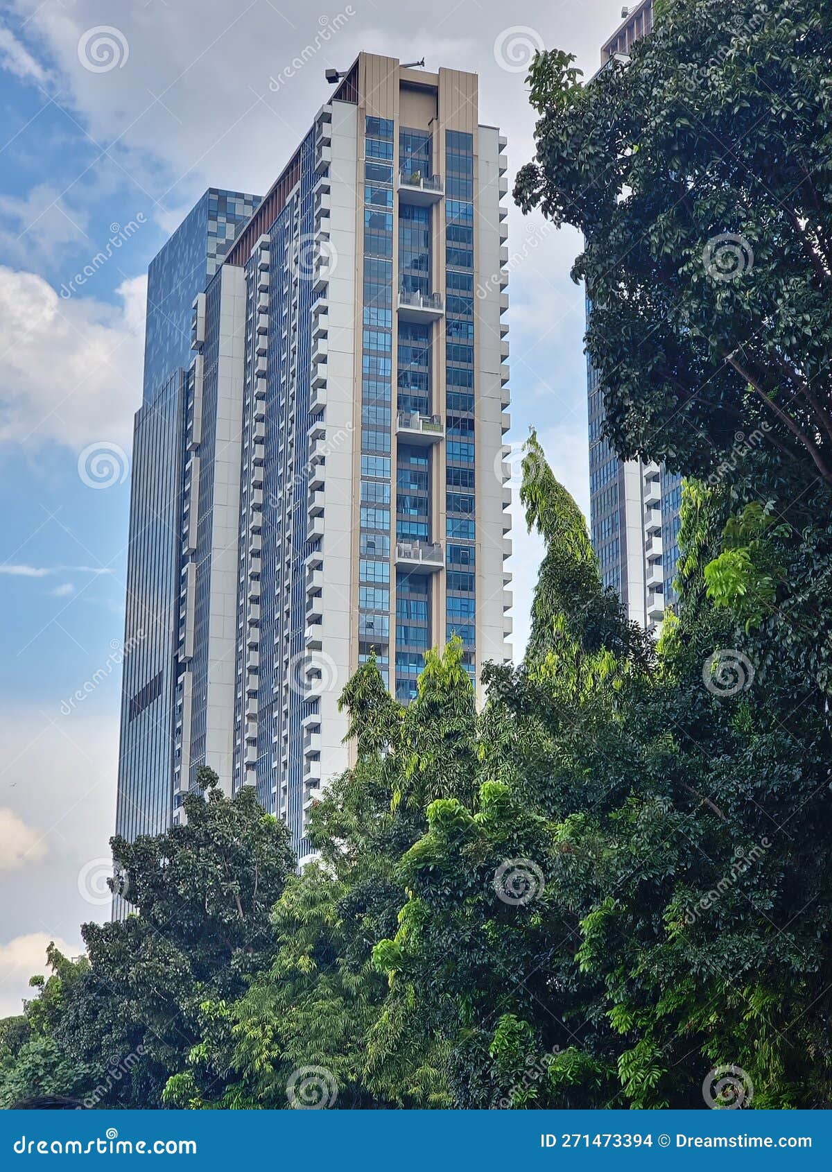 The Building Behind the Shady Tree Stock Photo - Image of building ...
