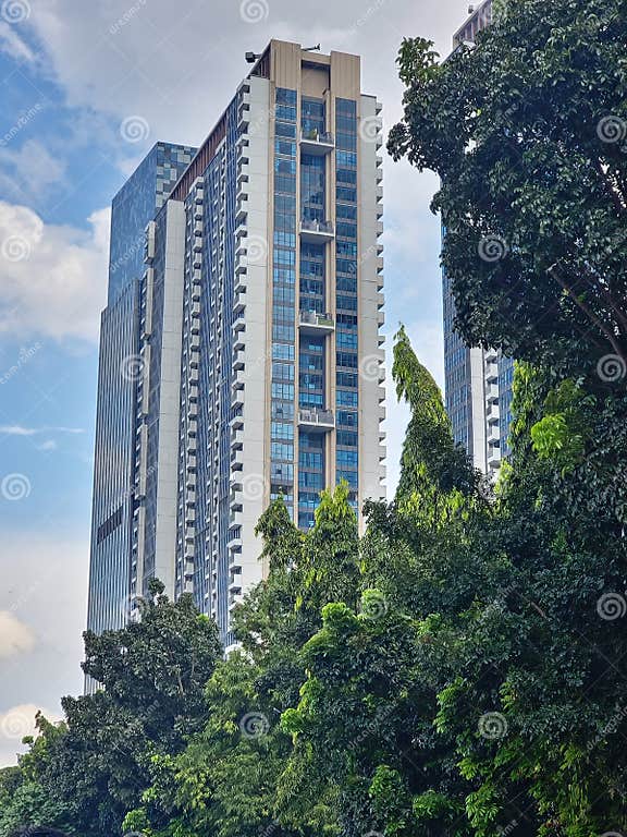 The Building Behind the Shady Tree Stock Photo - Image of building ...