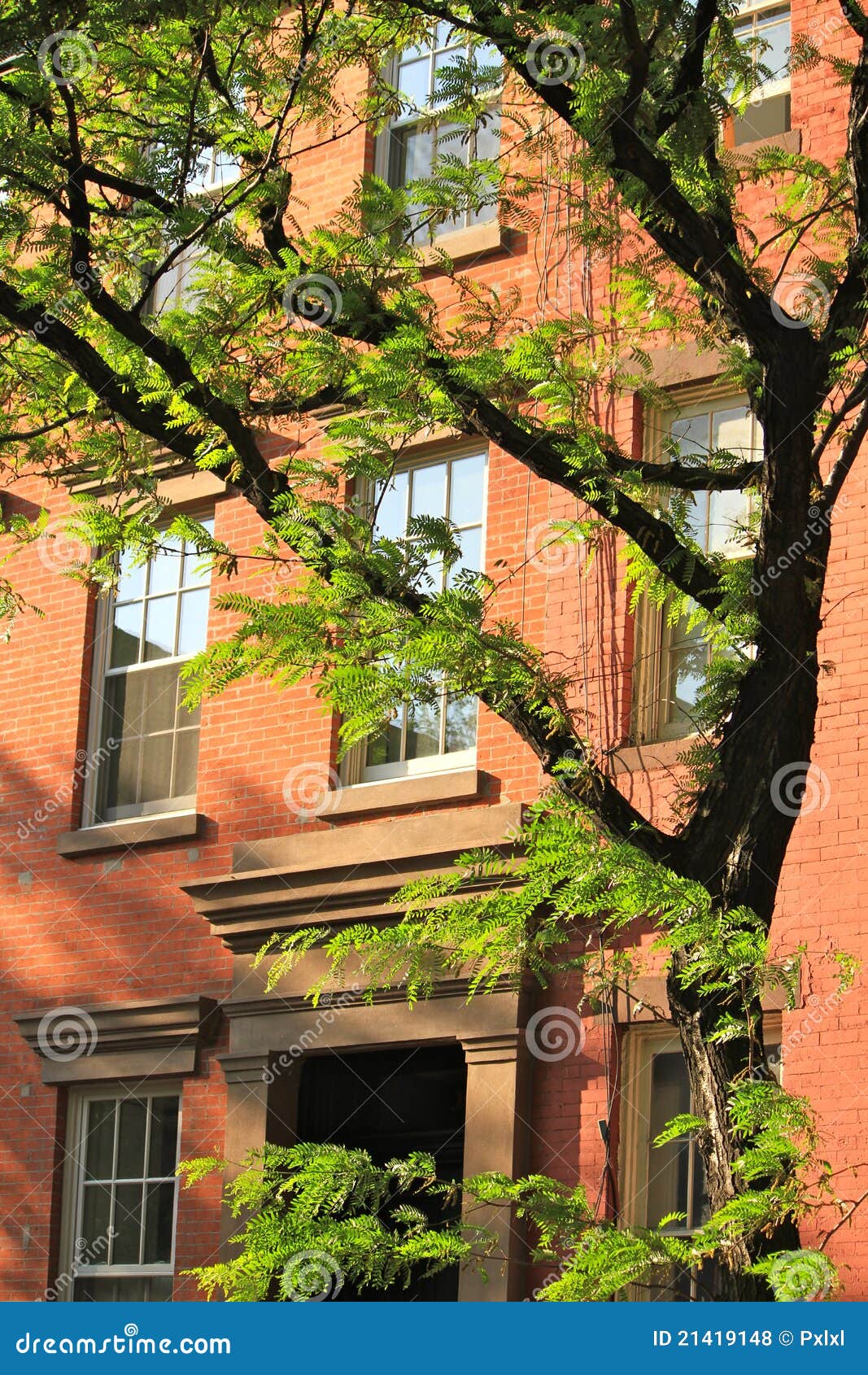 Building behind a tree stock photo. Image of rural, building - 21419148