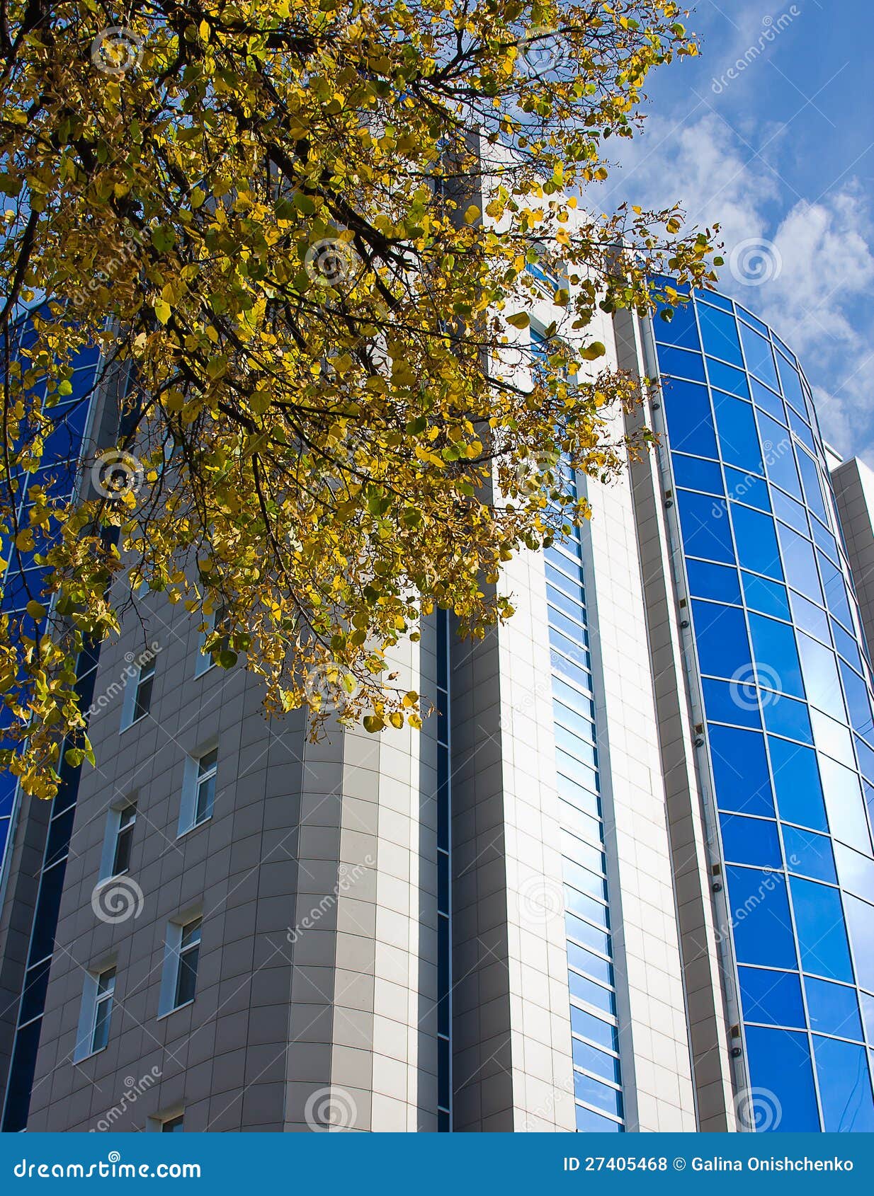 Building and Branch of Autumn Tree Stock Photo - Image of nature ...