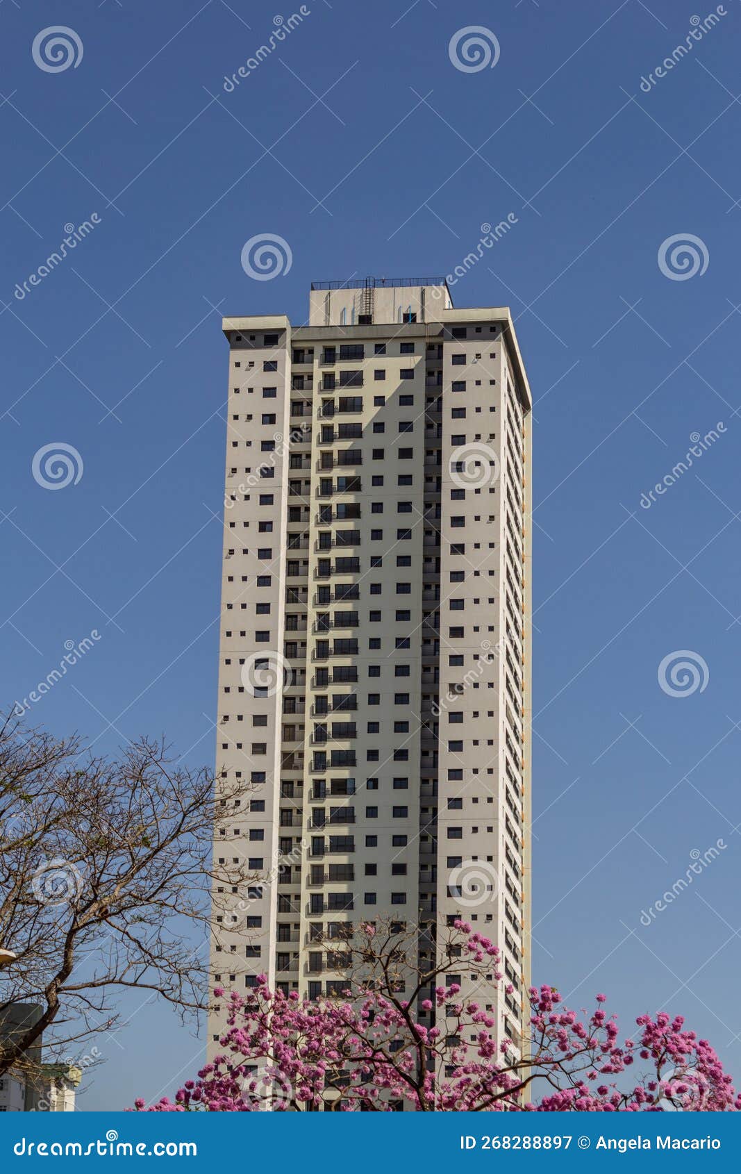 A Building between Branches of Trees. Stock Image - Image of engineer ...