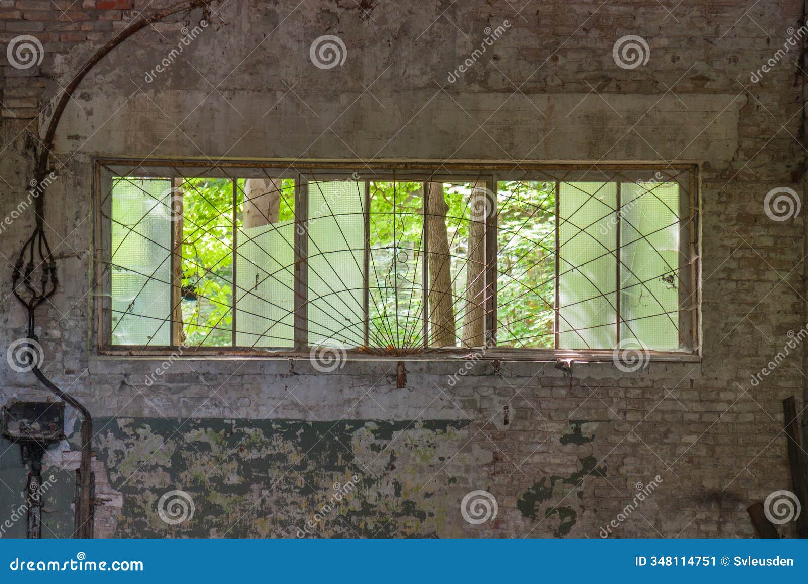Building with Broken Windows, Outside a Green Forest Stock Image ...