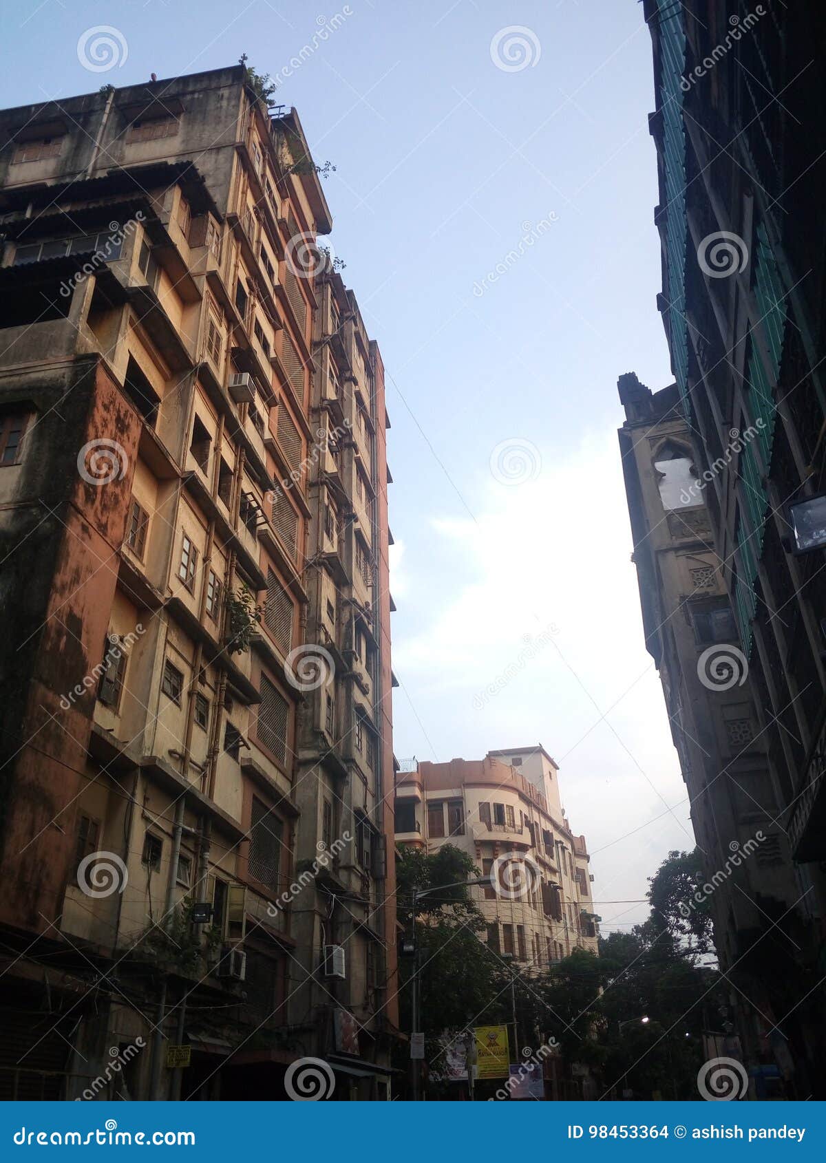 Building City Sky Metro Tree Editorial Stock Image - Image of tree ...