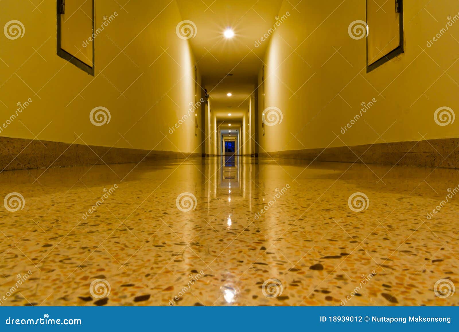Building corridor stock photo. Image of modern, entrance - 18939012
